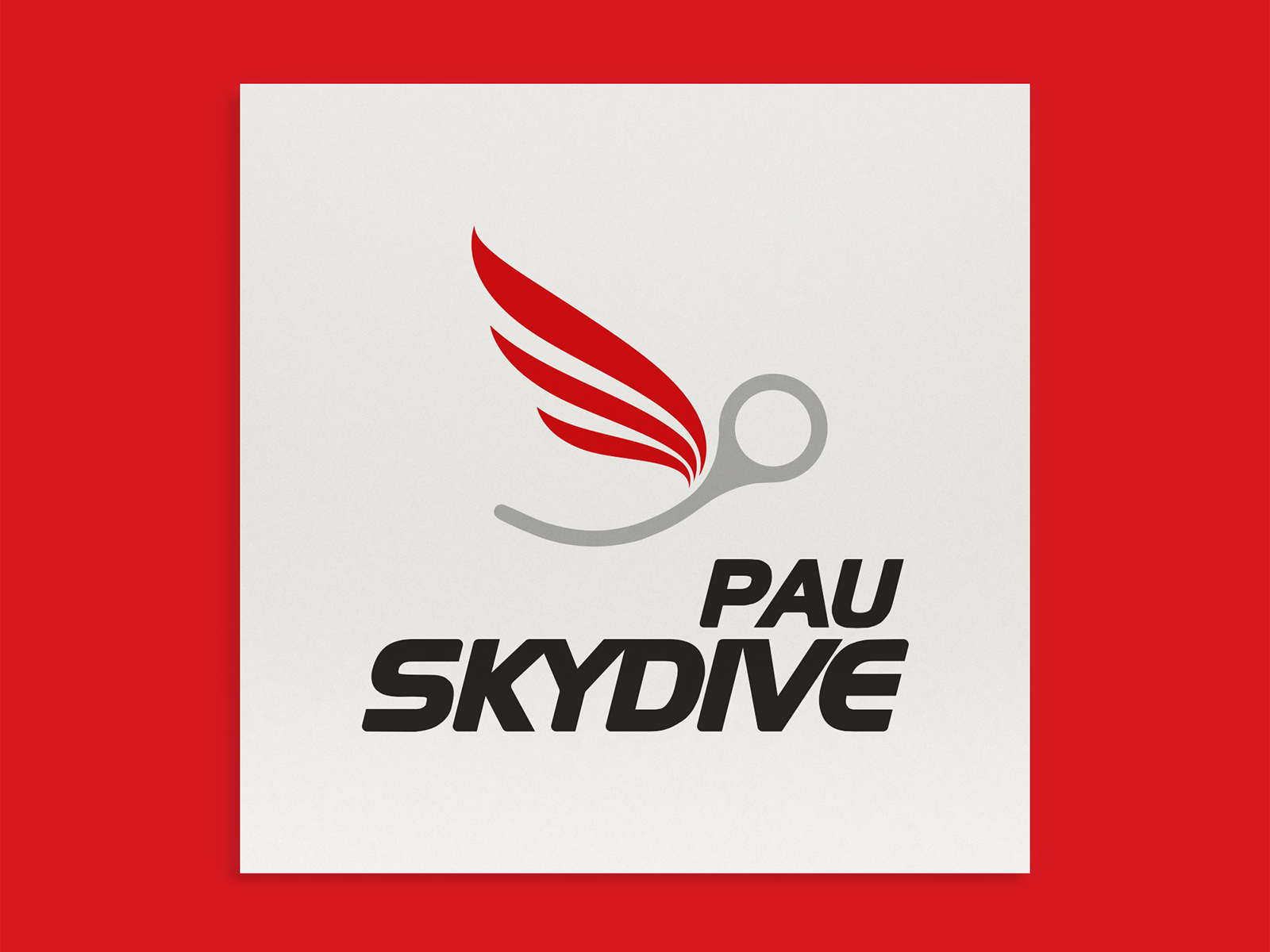 Logo Pau Skydive by Julien Charrieras on Dribbble