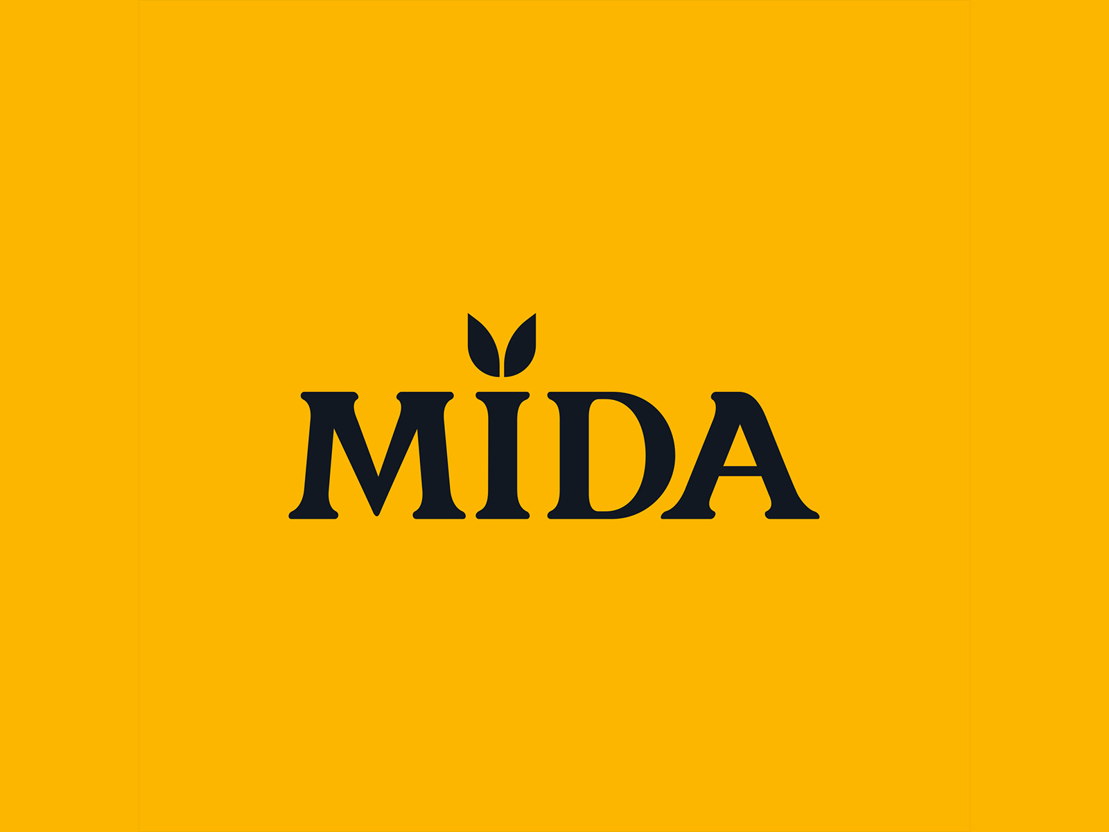 Mida by Tyler Pate on Dribbble
