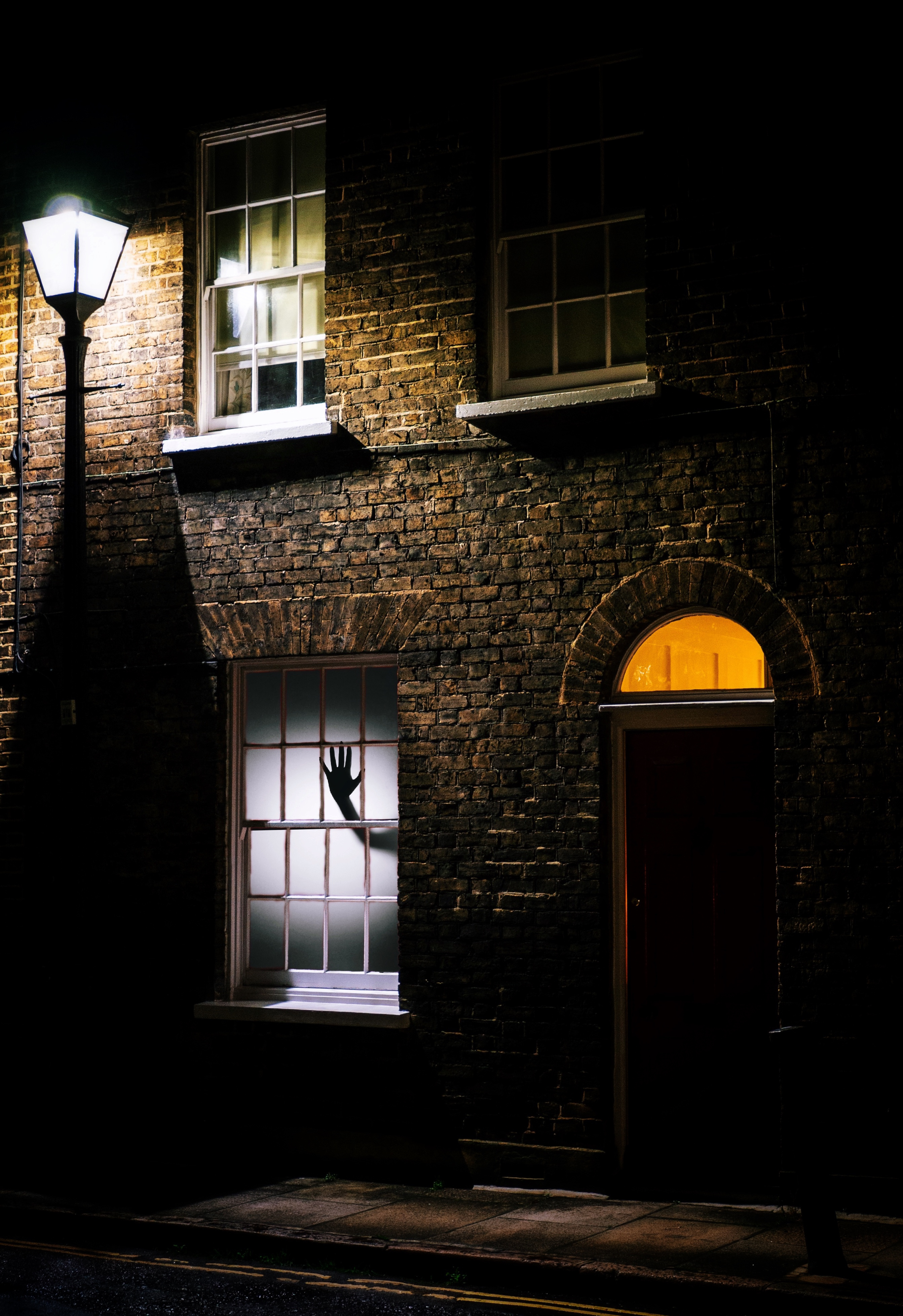 Friendly neighbour by Alan on Dribbble