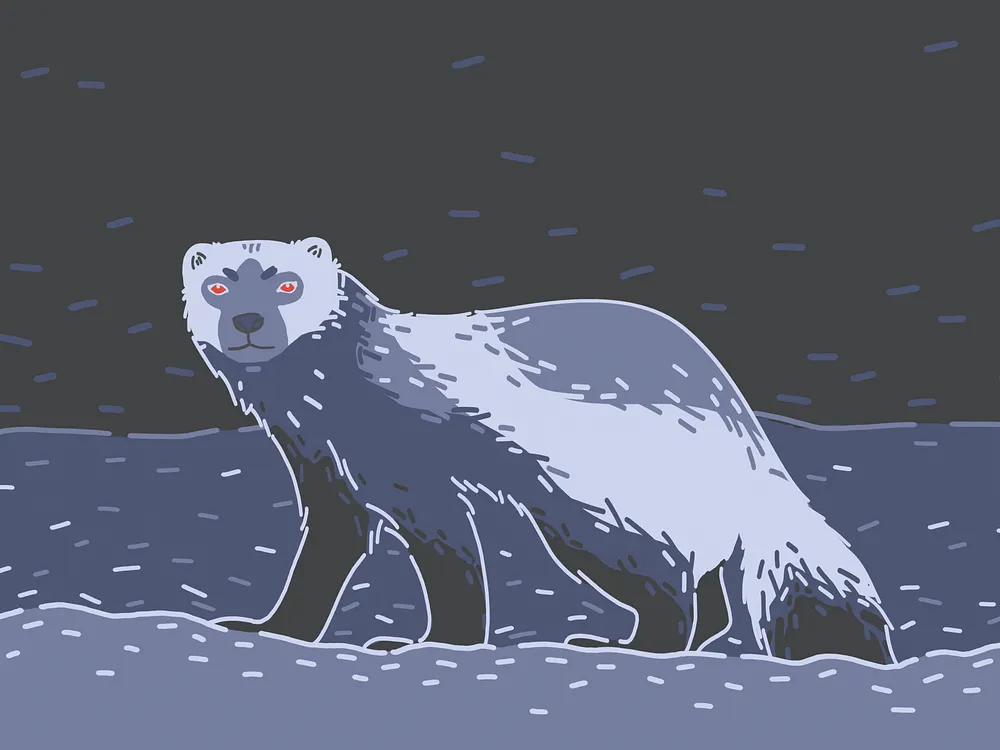 Wolverine Animal designs, themes, templates and downloadable graphic ...
