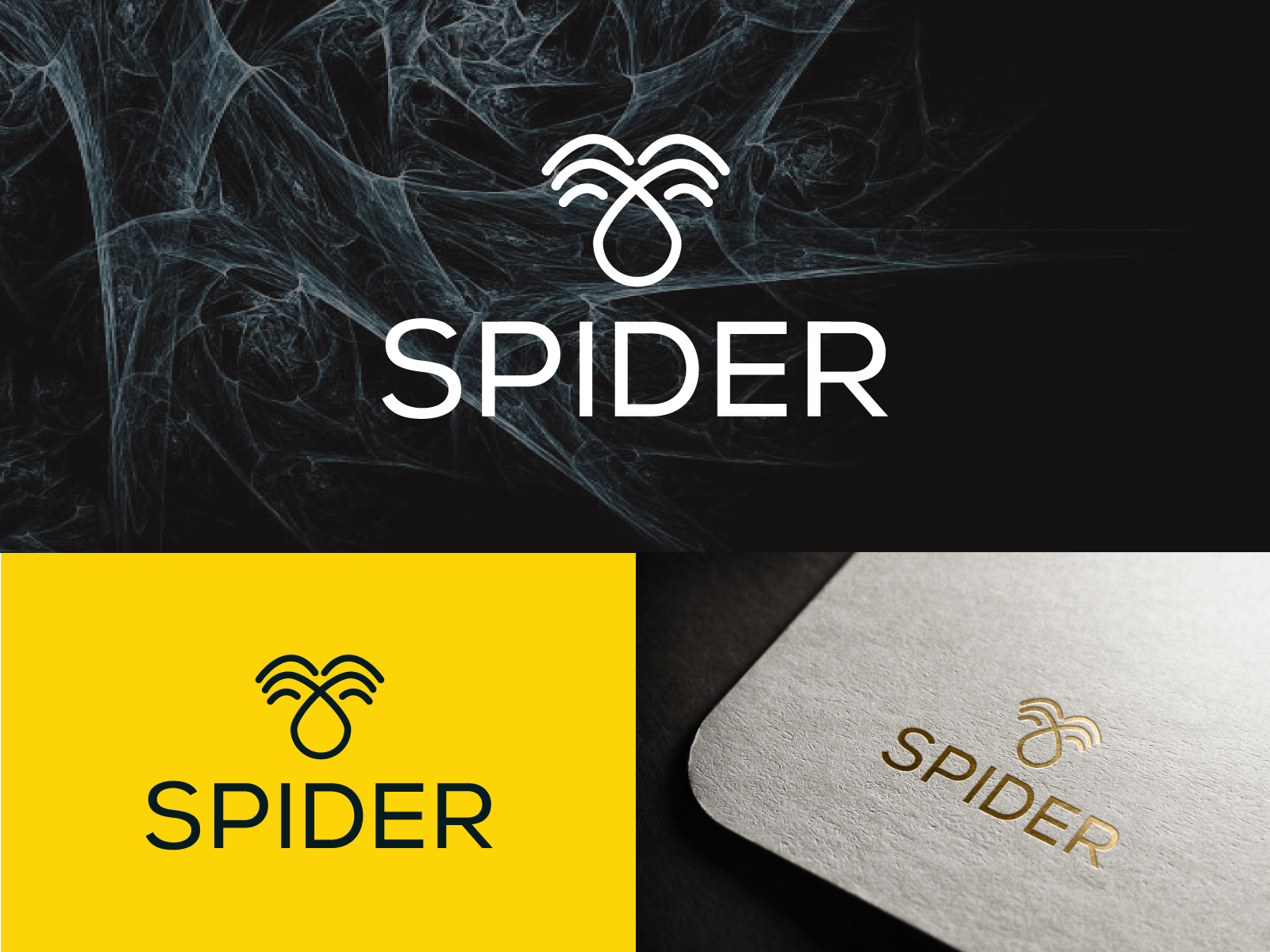 SPIDER LOGO by Firoz kamal on Dribbble