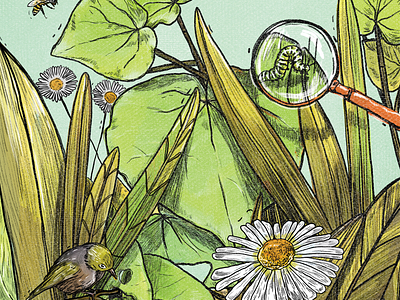 Explore: Nature Activity Book by Pippa Keel on Dribbble