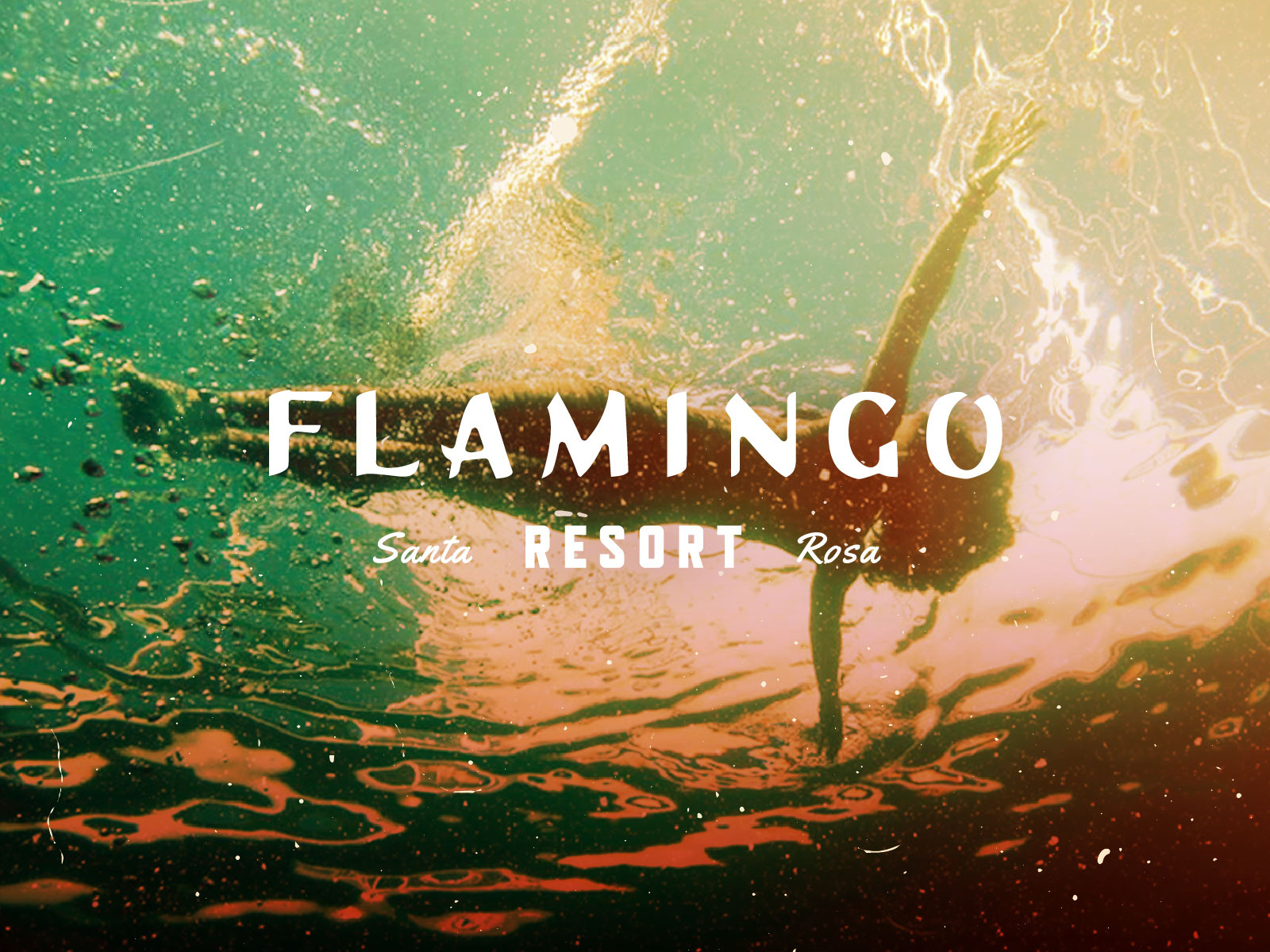 Flamingo Resort Logotype by James van Kriedt on Dribbble