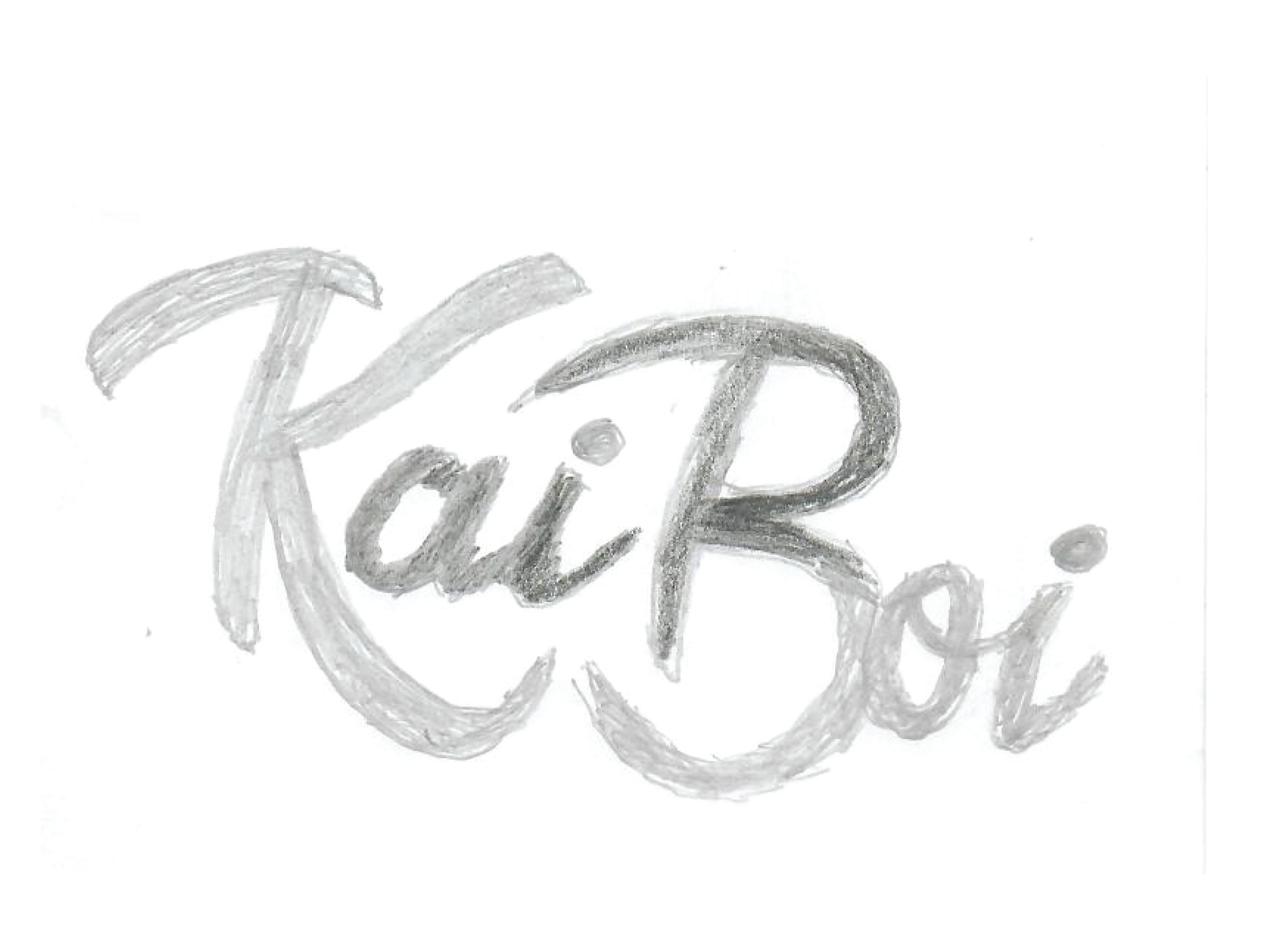 KaiBoi Brand Identity Design by Tripass Design on Dribbble