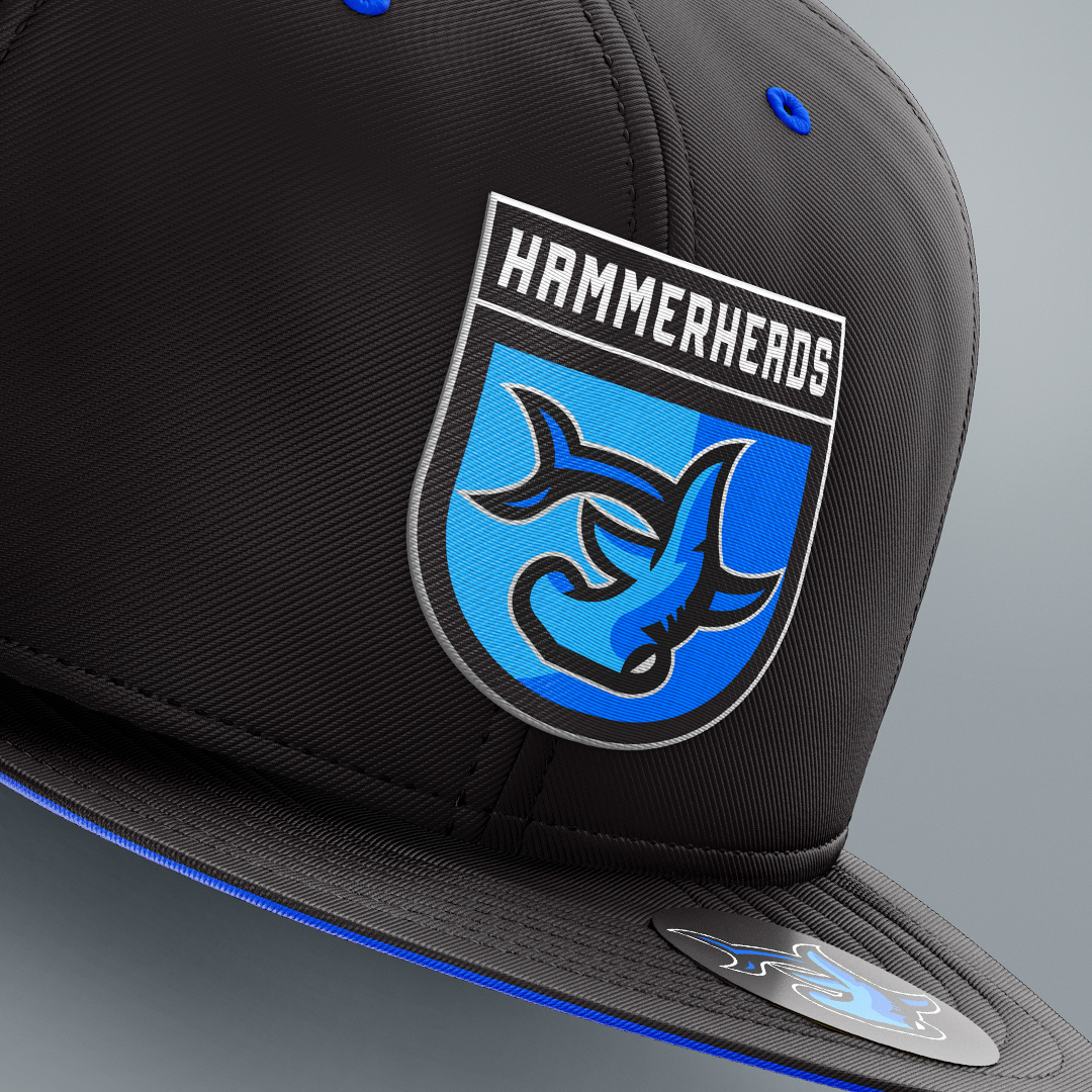Hammerheads Logo by Lia Tanasa on Dribbble