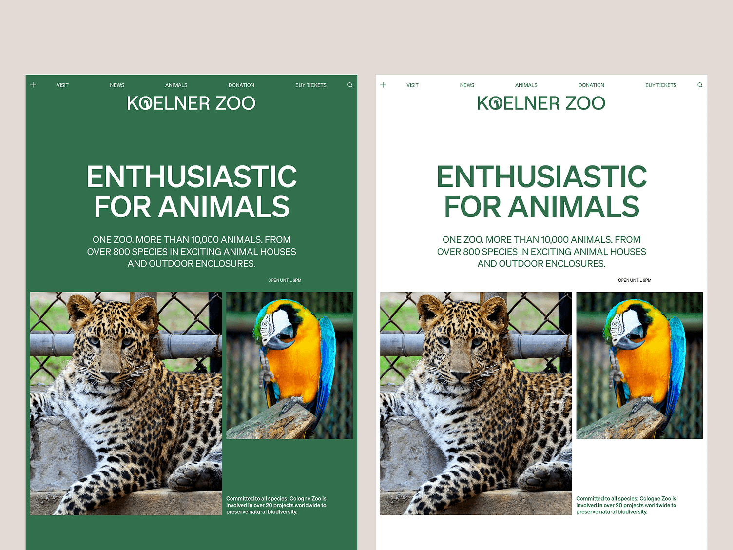 Koelner Zoo Landingpage Hero Header Redesign | Zoo by Eduard Bodak on ...