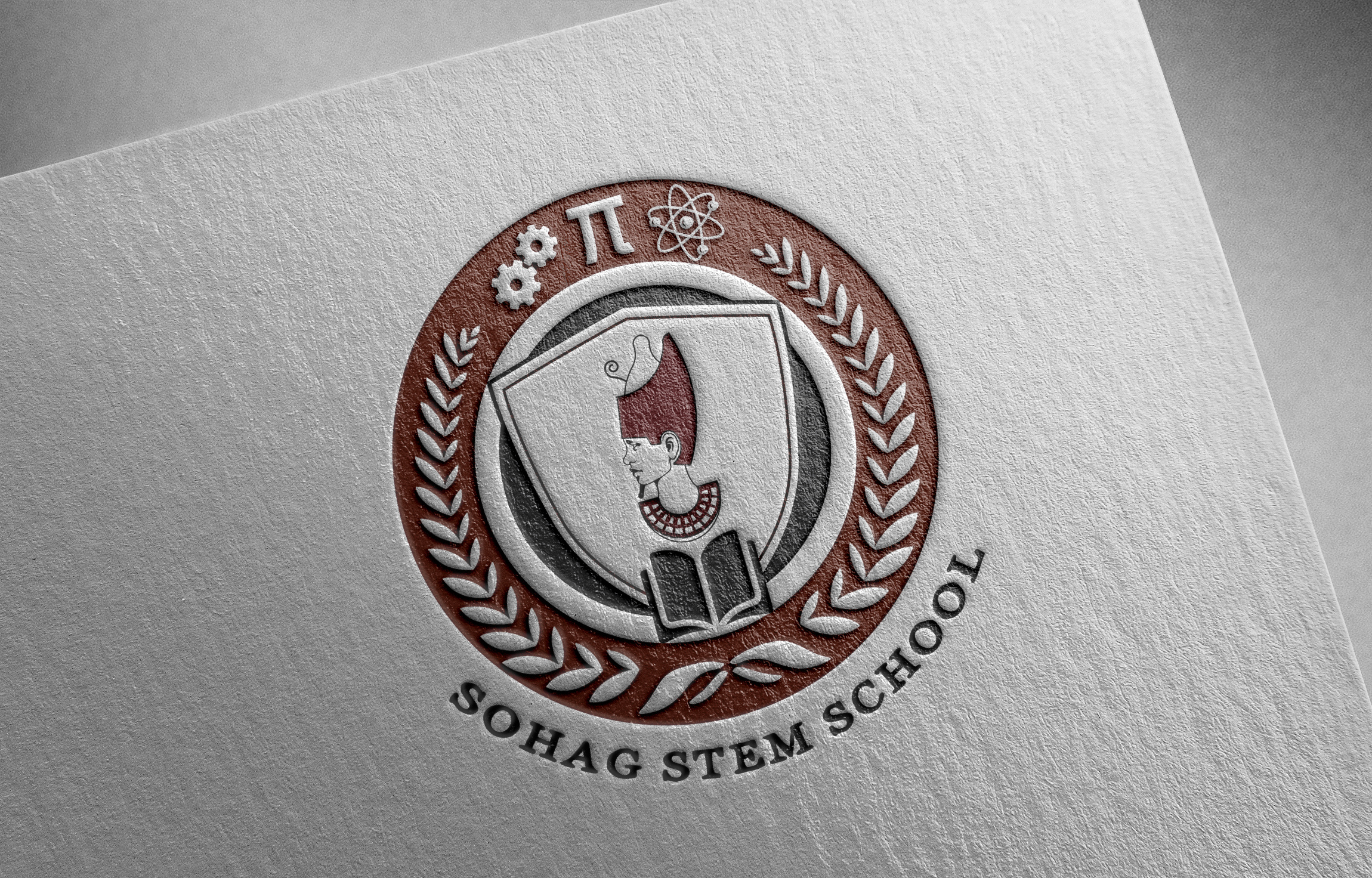 Nice School Logo