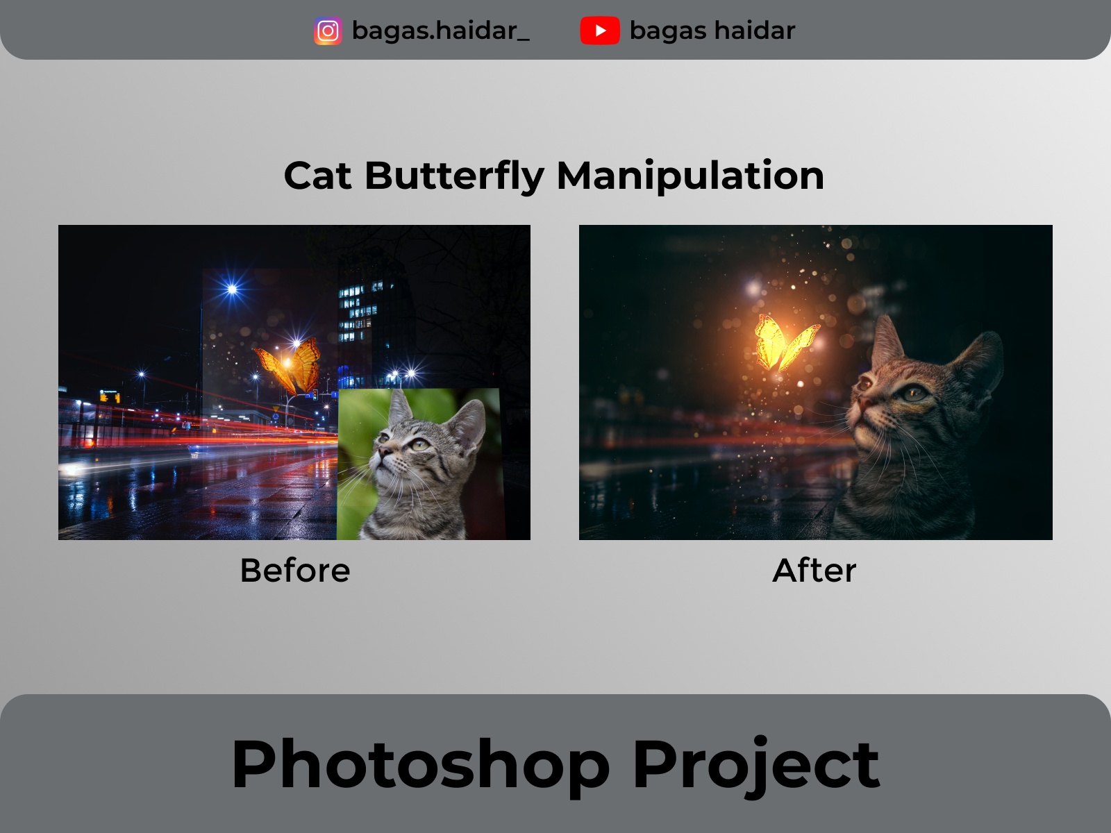 Cat Butterfly Manipulation ( Before After ) by bagas haidar on Dribbble