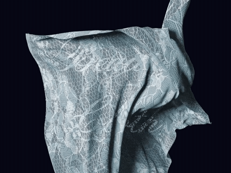 Beauty Cloth by Denys Salenko on Dribbble