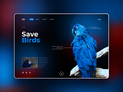 Bird Website designs, themes, templates and downloadable graphic ...