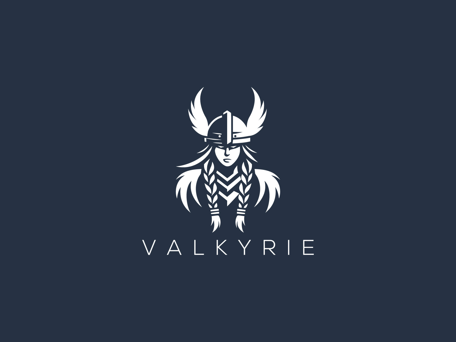 Valkyrie Logo by Ben Naveed 🇺🇸 on Dribbble