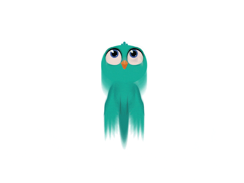 Fly high by Rincy David on Dribbble