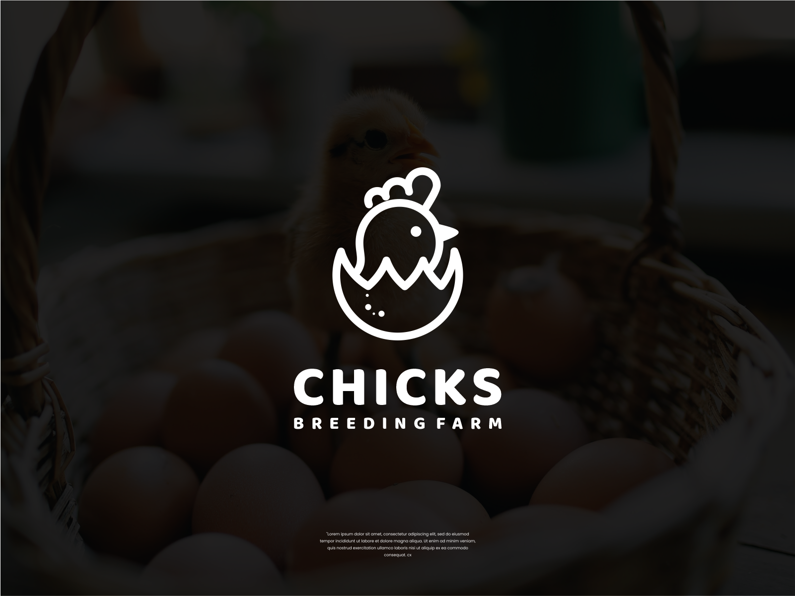 Chicks Logo Concept by Reka Studio on Dribbble