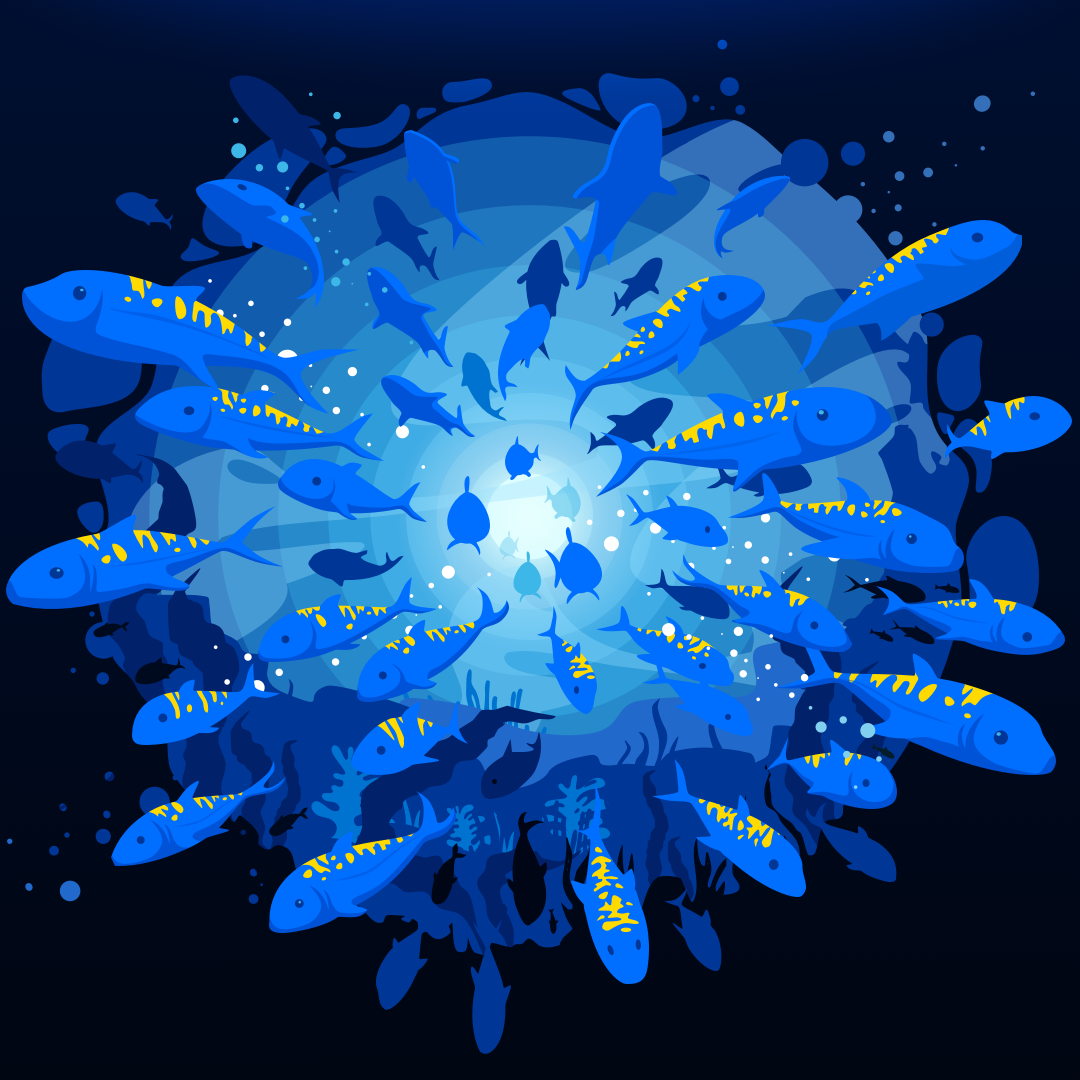 School of fish 🐠🐟 by Andrey Prokopenko 🇺🇦 on Dribbble