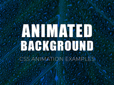 Css Animation Examples designs, themes, templates and downloadable ...