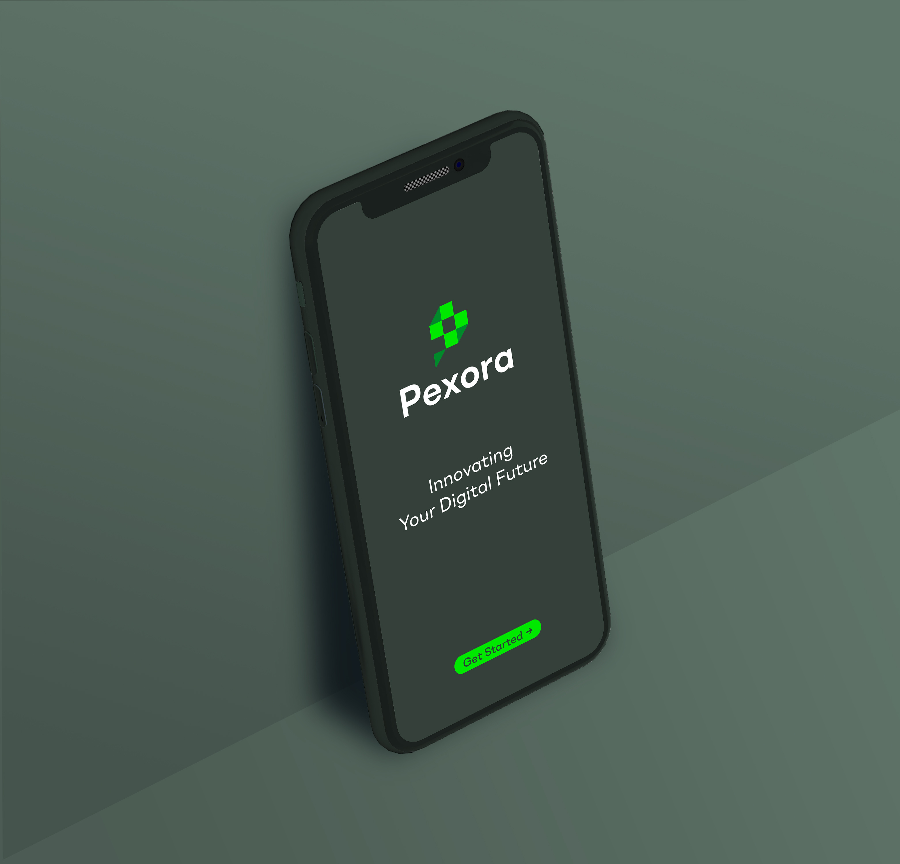Pexora Logo Branding Design by designsraw on Dribbble