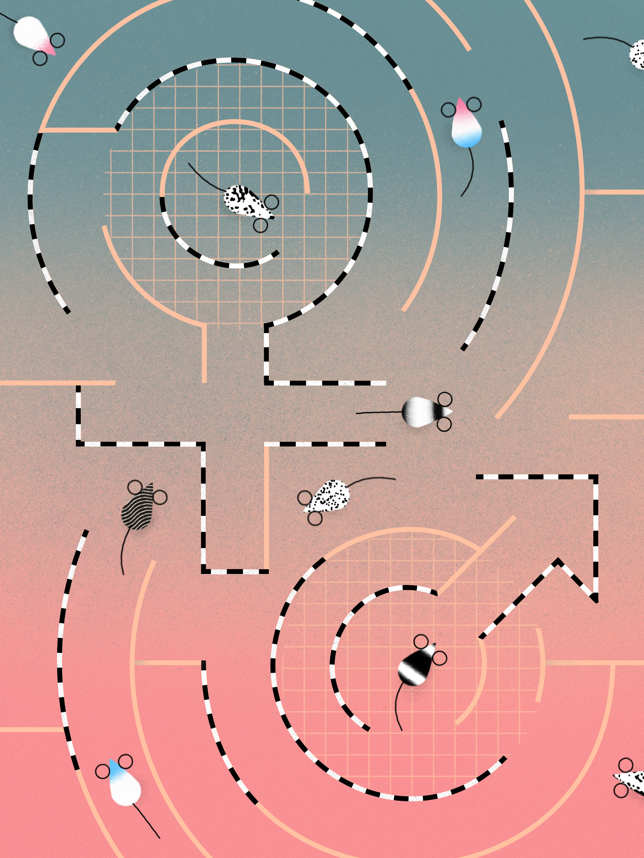 Browse thousands of Gender images for design inspiration | Dribbble