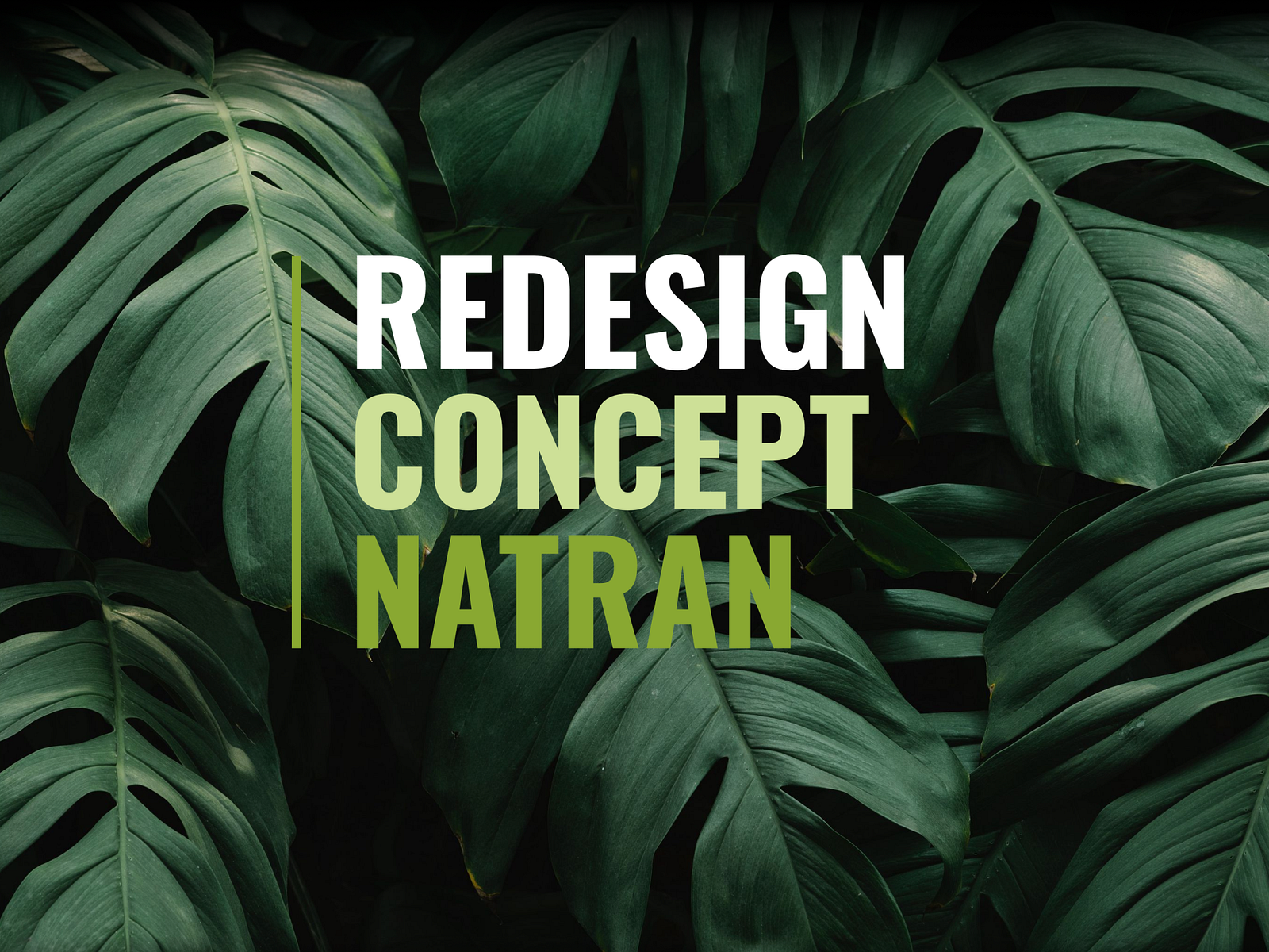 Redesign Concept Natran by Dmitry Sergushkin on Dribbble