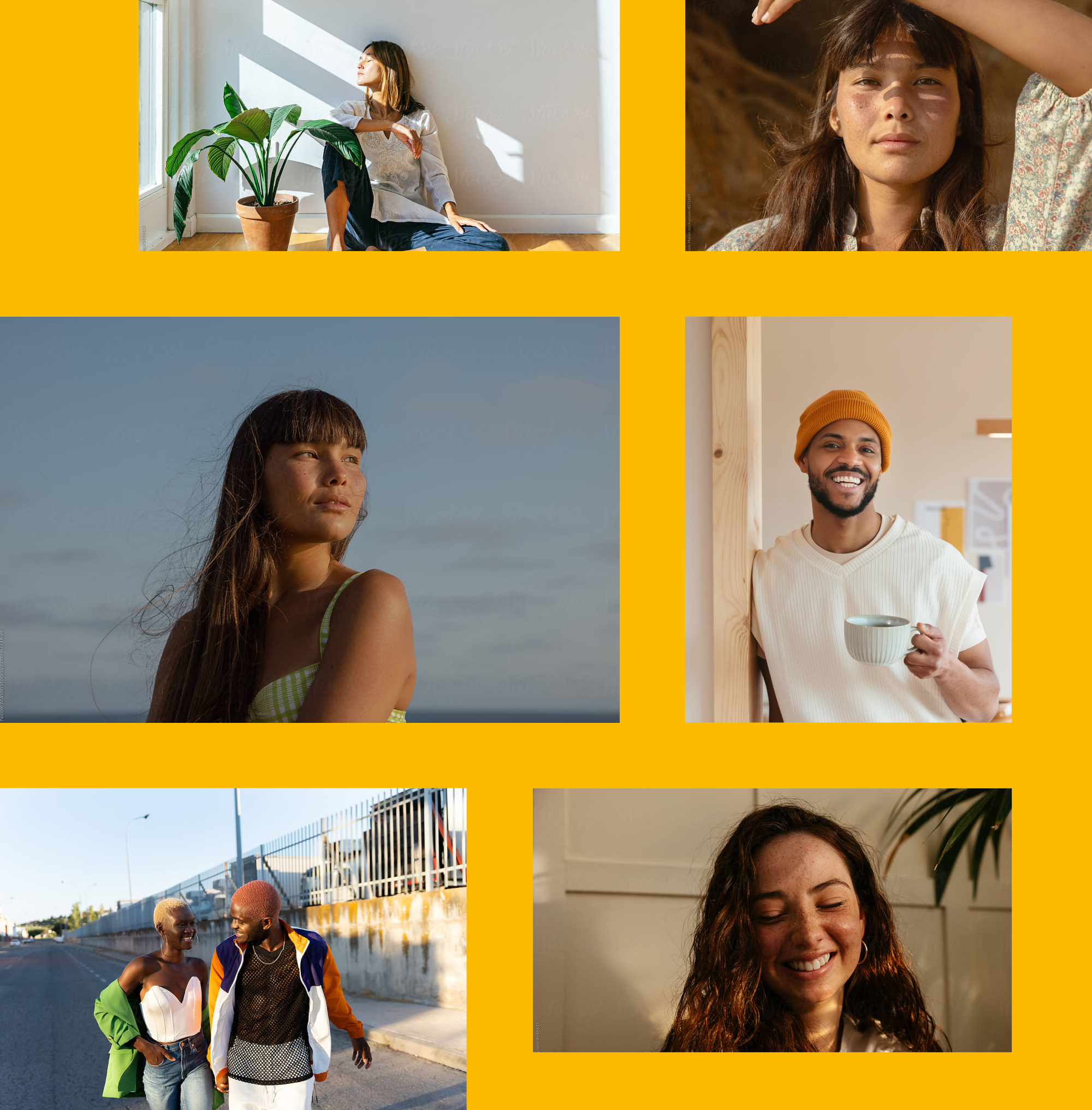 Branding Cordial, Visual Identity by Claudia Carvalho for Bruno on Dribbble