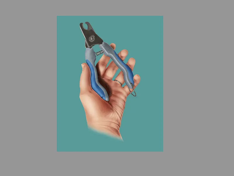 Light On Form designs, themes, templates and downloadable graphic ...