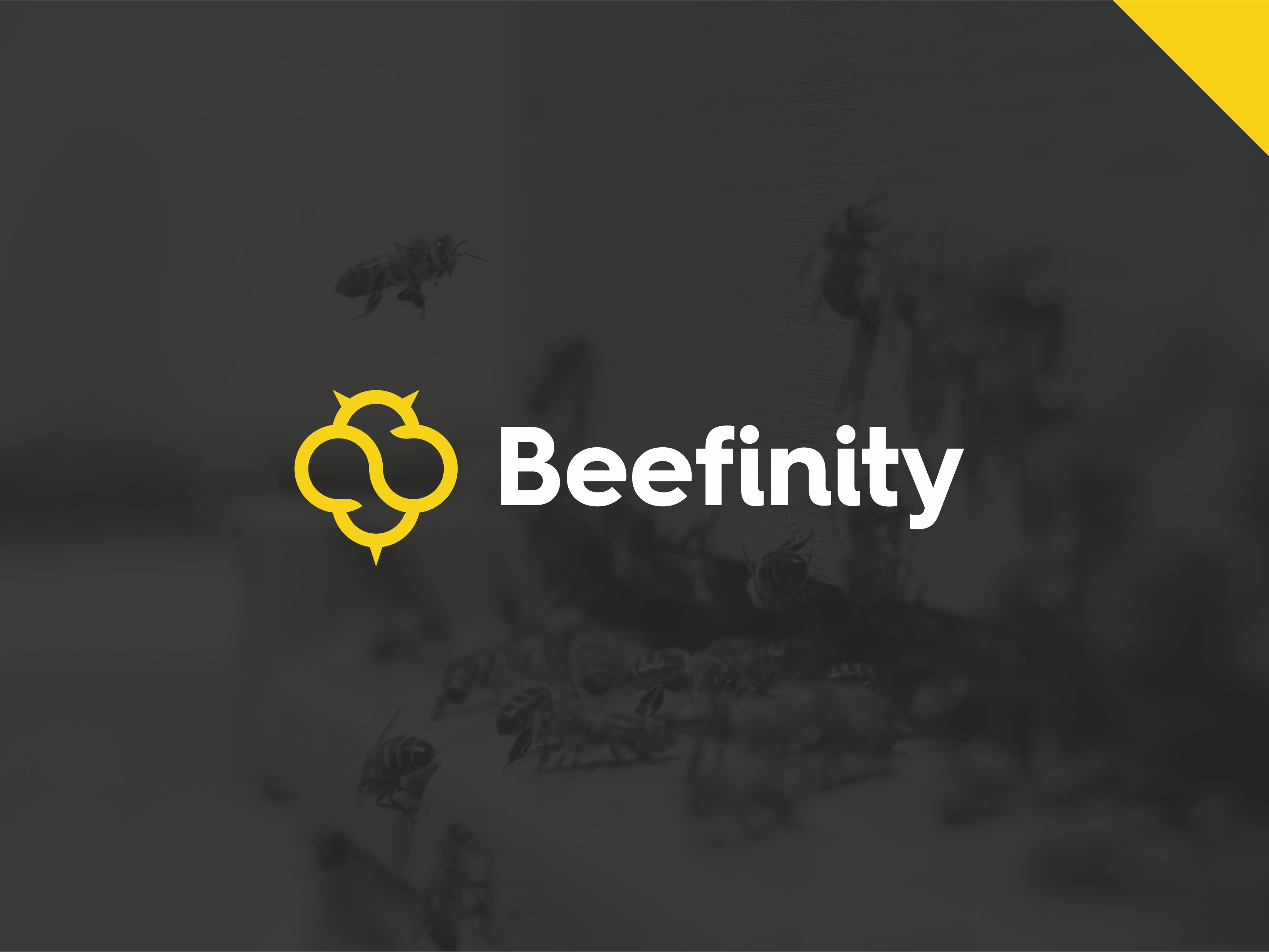 Beefinity by Dennis Pasyuk on Dribbble