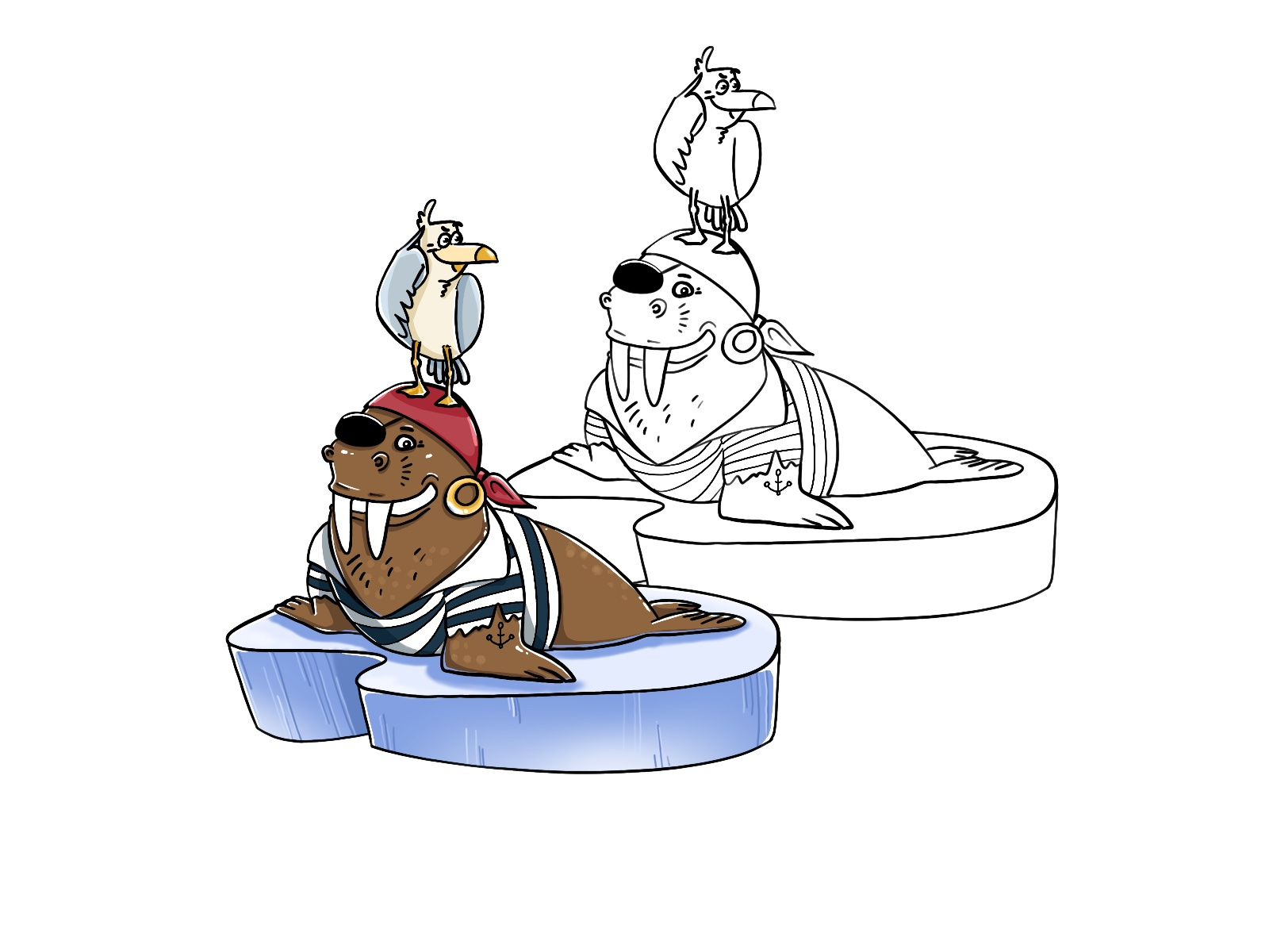 A pirate walrus by Ellie Kir on Dribbble