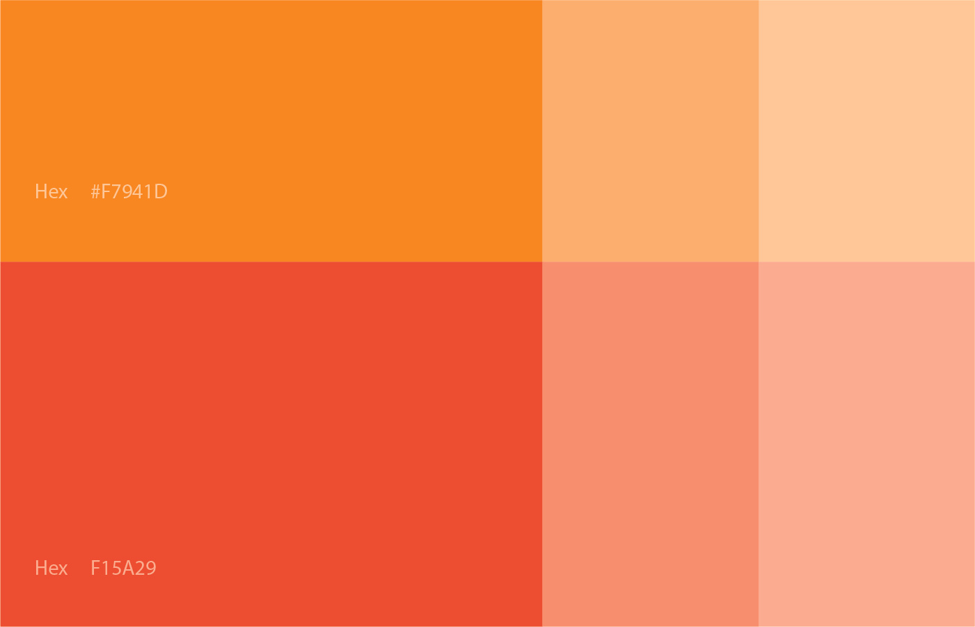 blatto Brand visual identity by Parvej Design on Dribbble