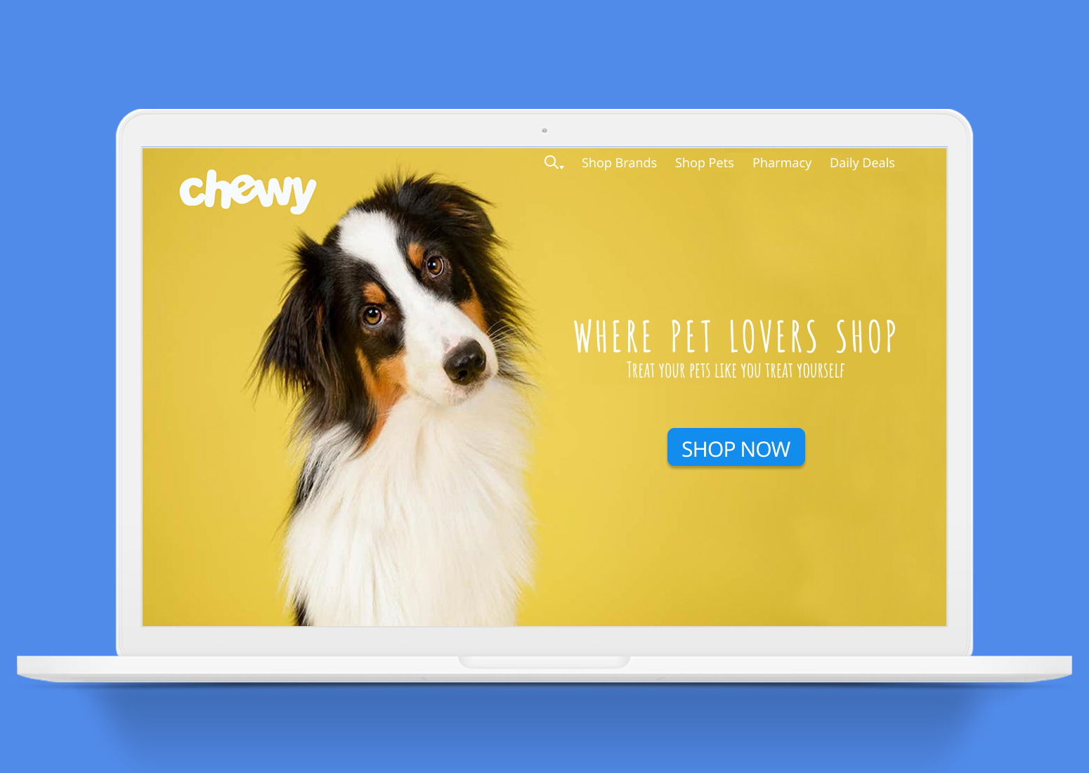 Chewy Landing Page - Figma Exercise by Julia Myers on Dribbble