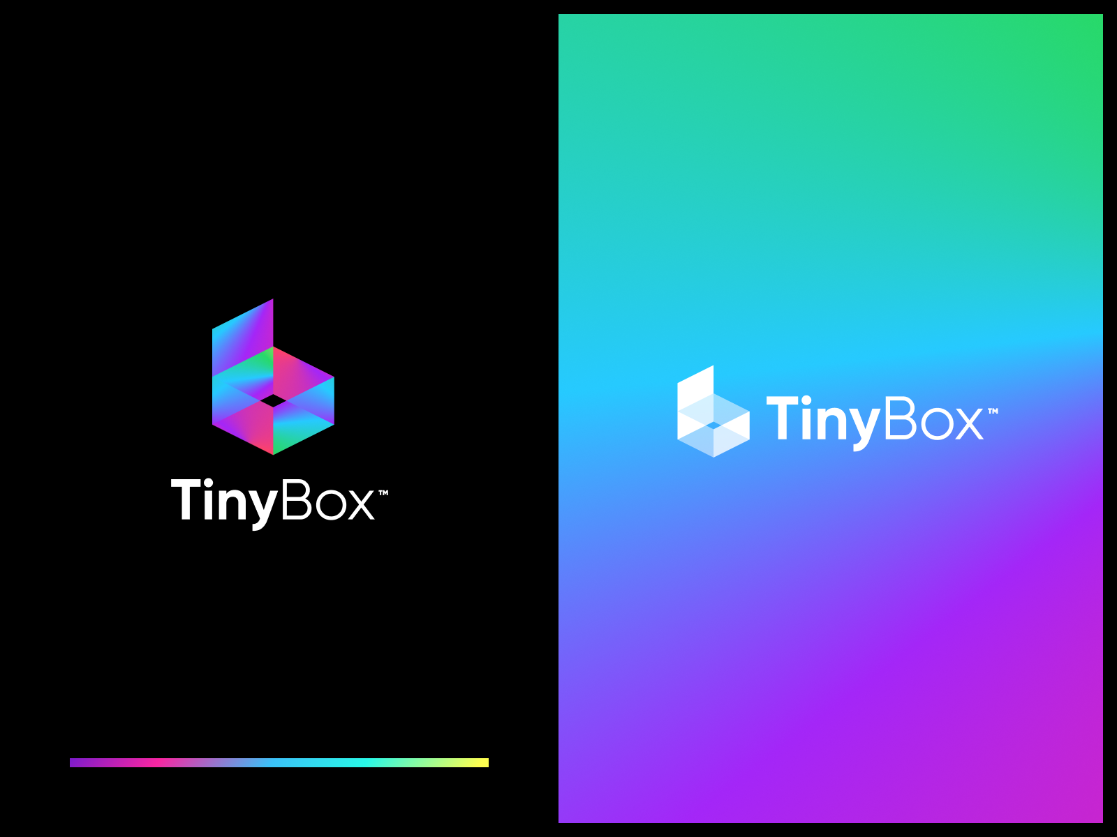 TinyBox Logo by Ted Kulakevich on Dribbble