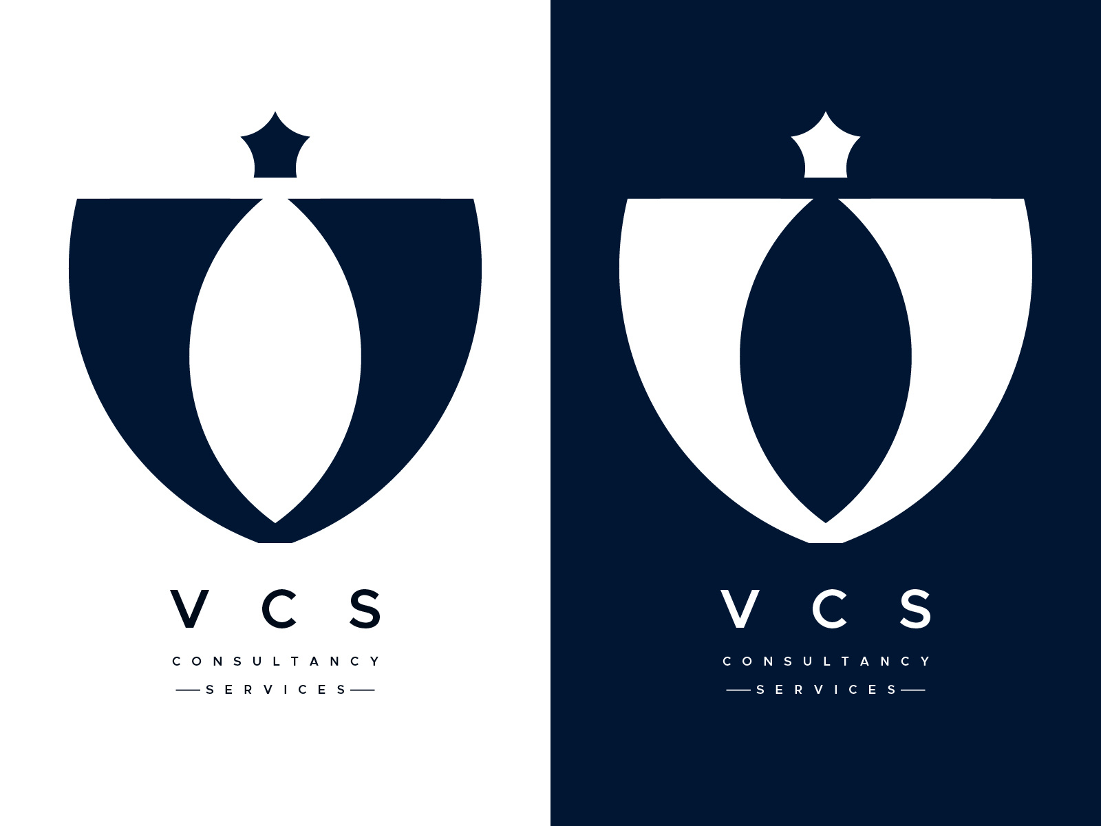 LOGO Design - VCS by RainArtistics on Dribbble
