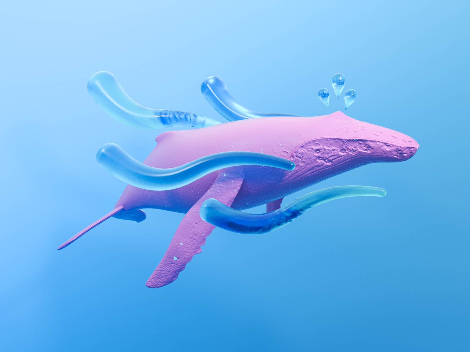 The Whale by Yancy Ji on Dribbble
