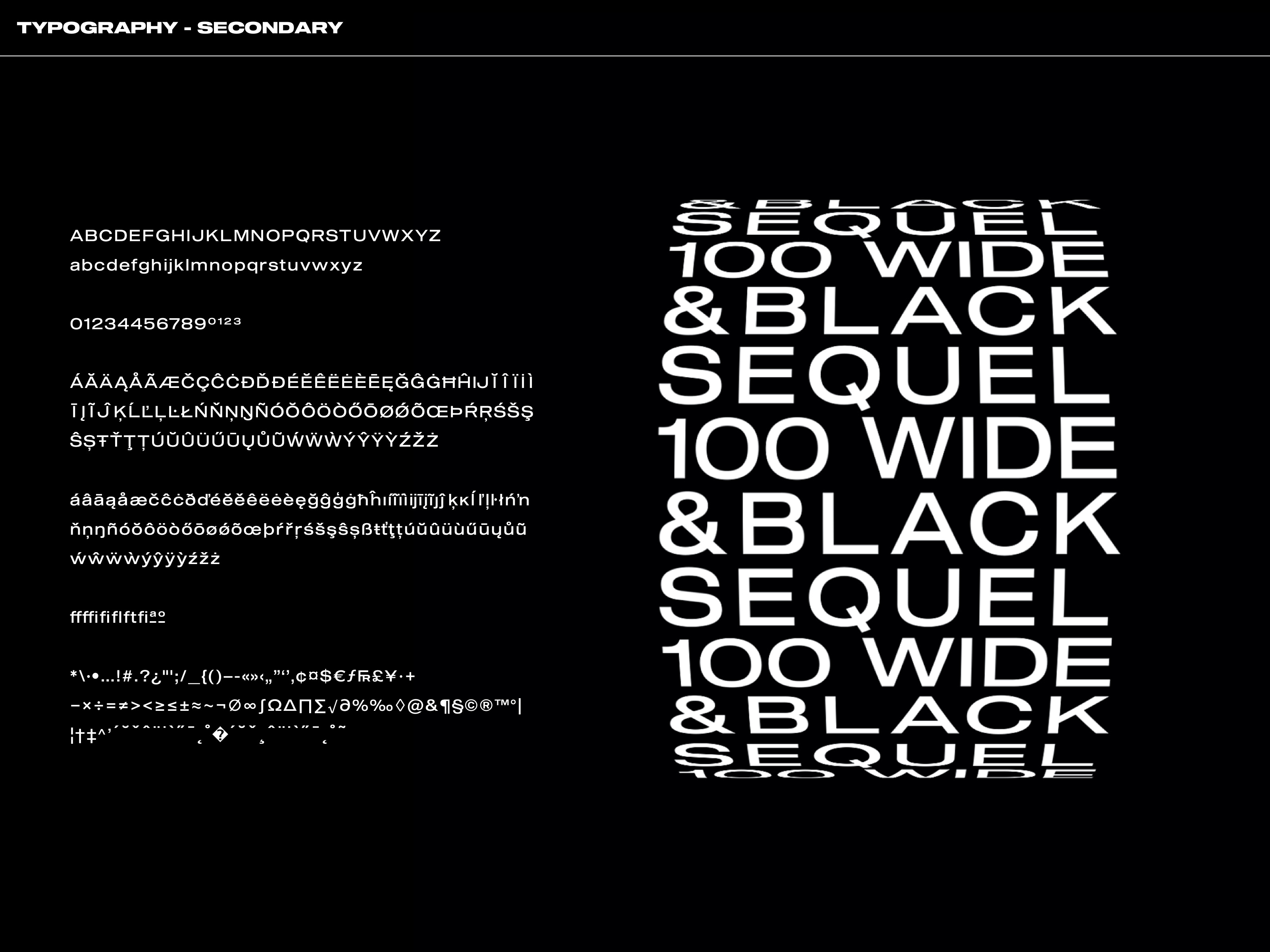 Direction typography by Vladimir Vujakovic for Studio Direction™ on ...