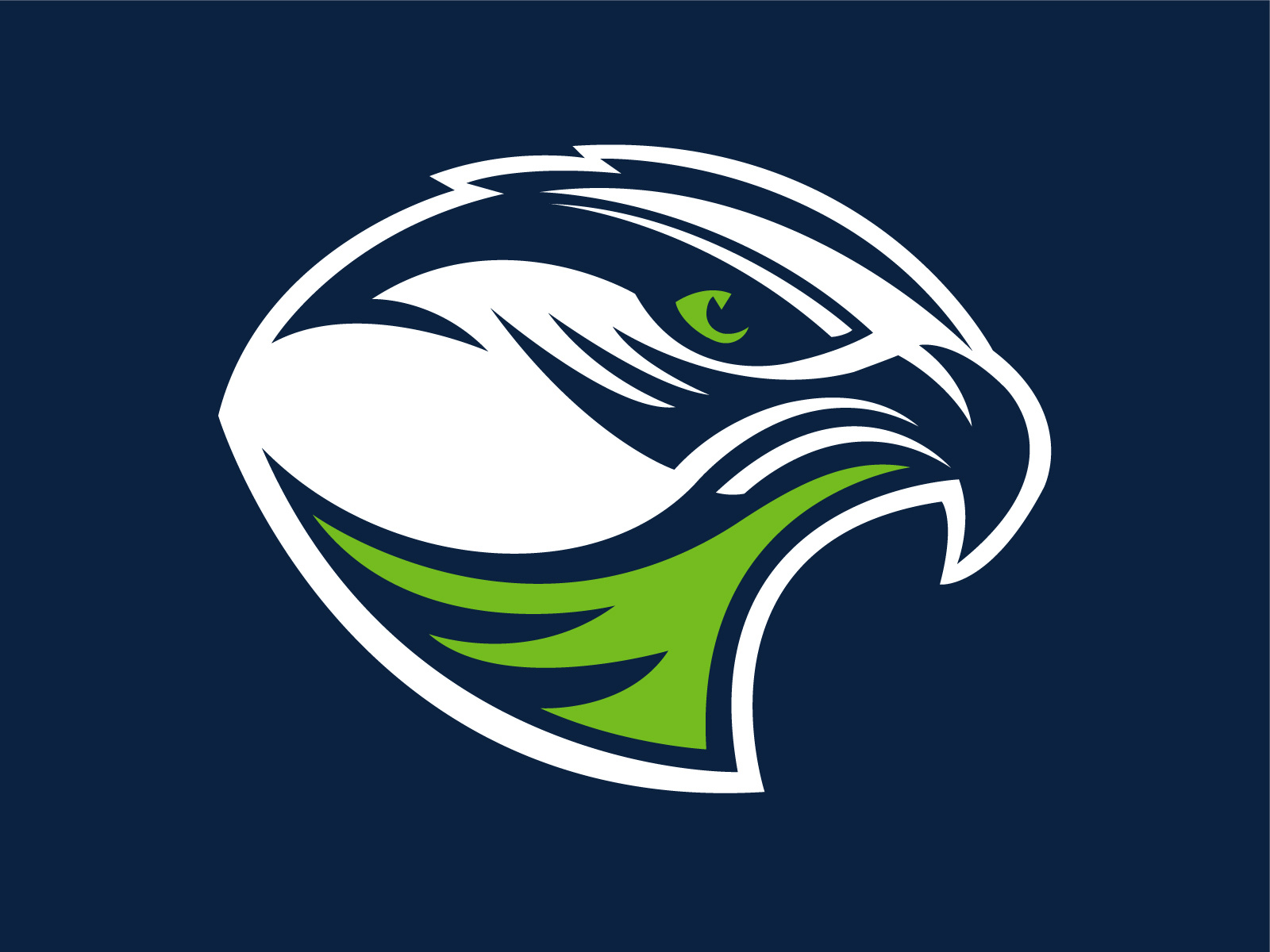 Riverhawks Logo Armstrong Riverhawks – PA Football News