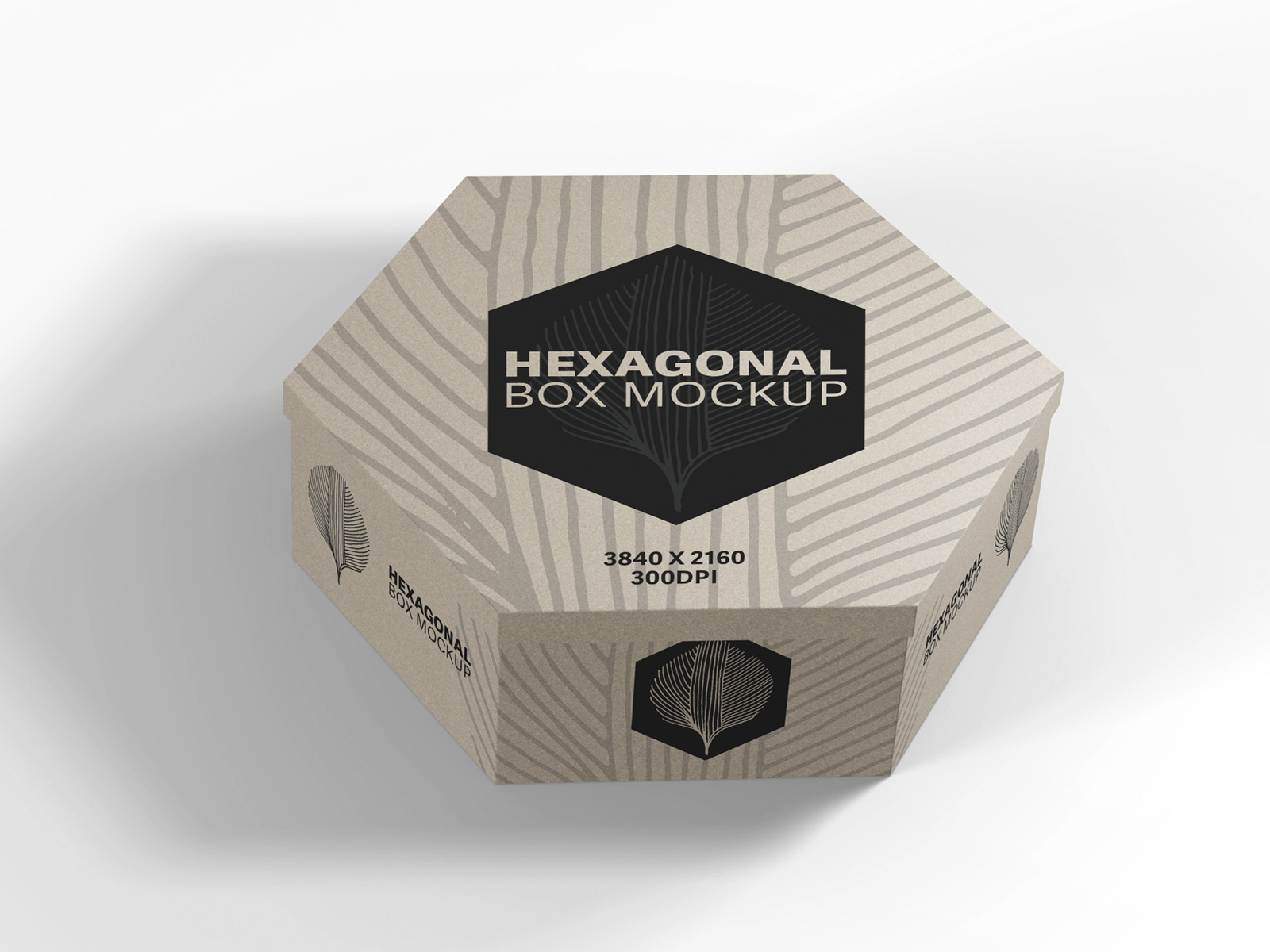Hexagonal Box Mockup by Diego Sanchez for Medialoot on Dribbble