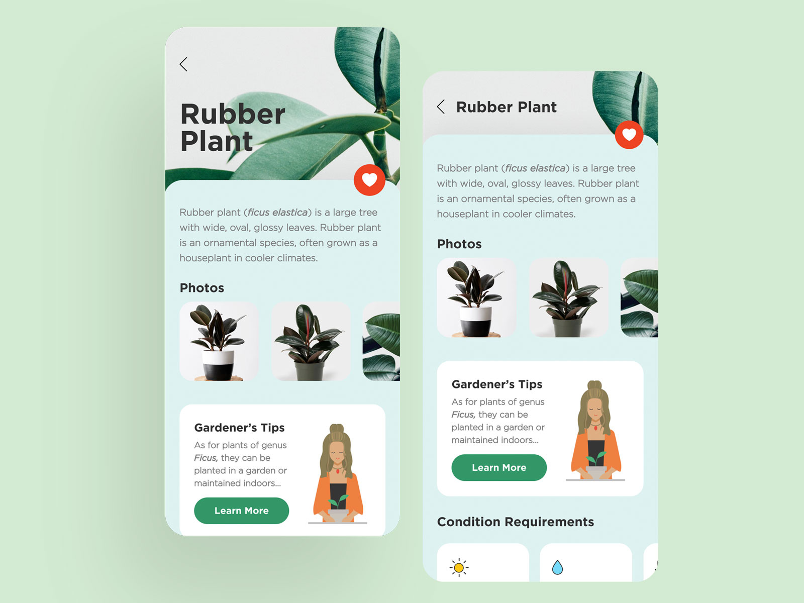 Plant App UI by Jane Kim on Dribbble