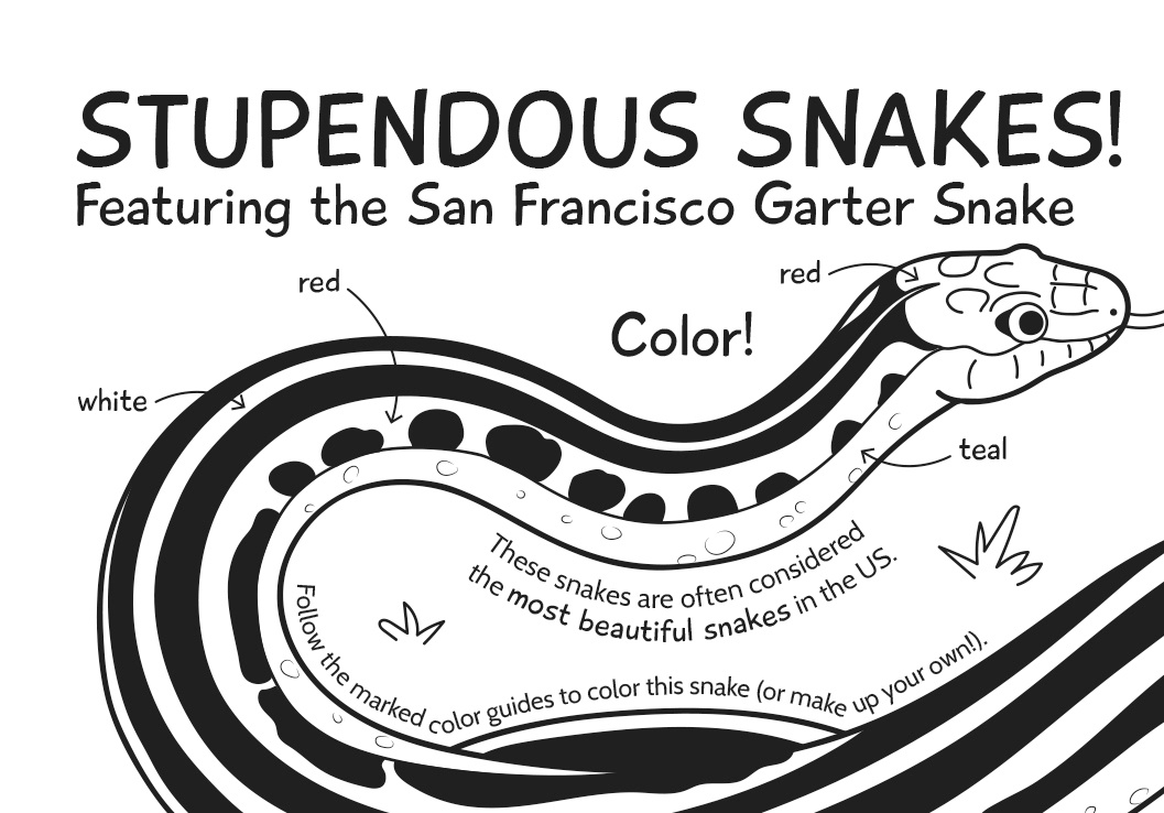 Stupendous Snakes activity page by Sara Lynn Cramb on Dribbble