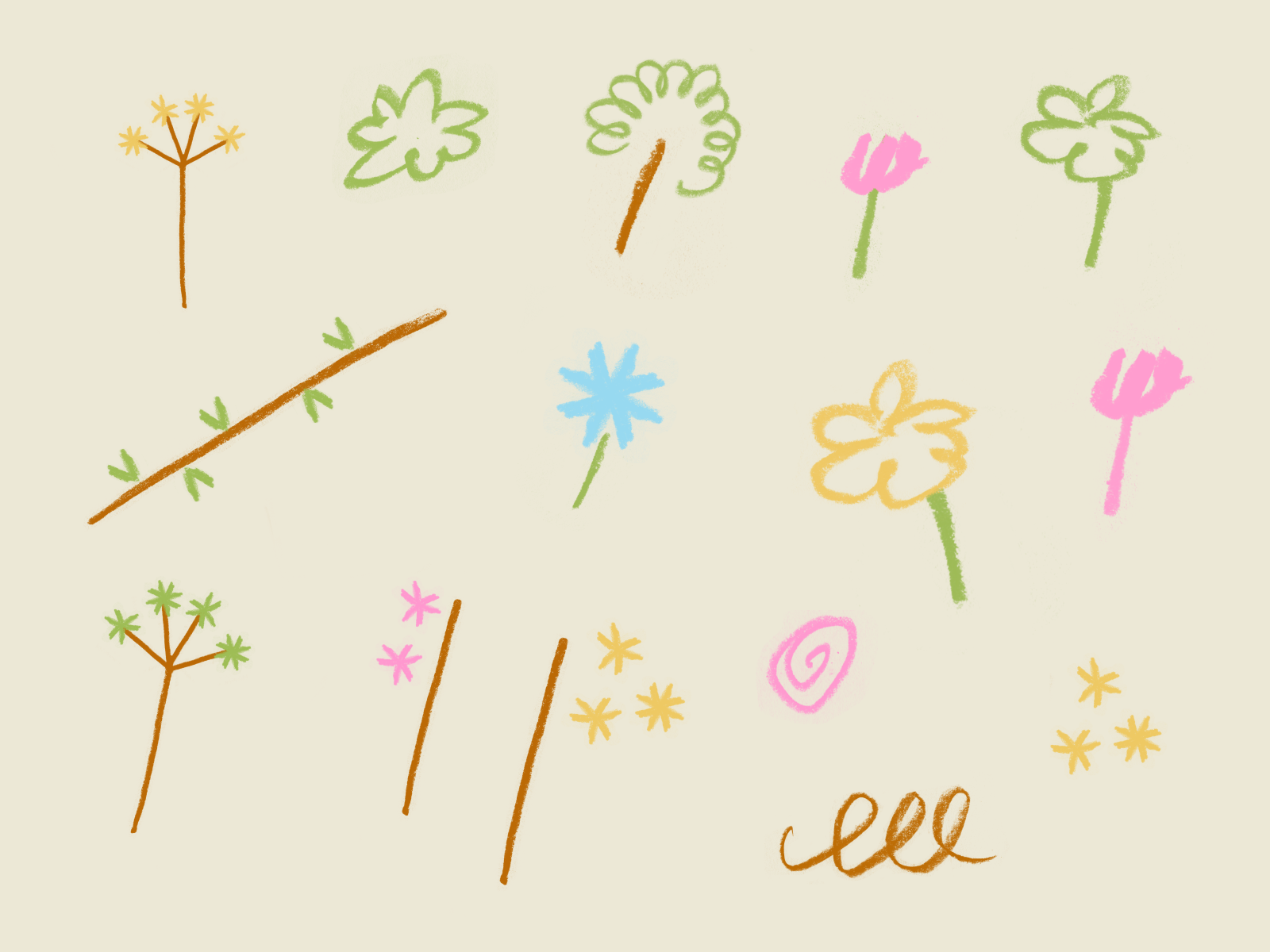 🌼 Visual Identity for a flowers shop I. by Lucie Bajgart on Dribbble