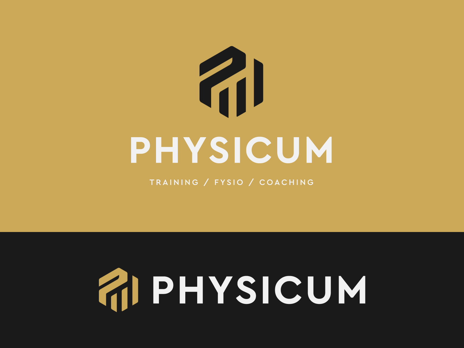 Physicum - Logo design by Emir Kudić on Dribbble