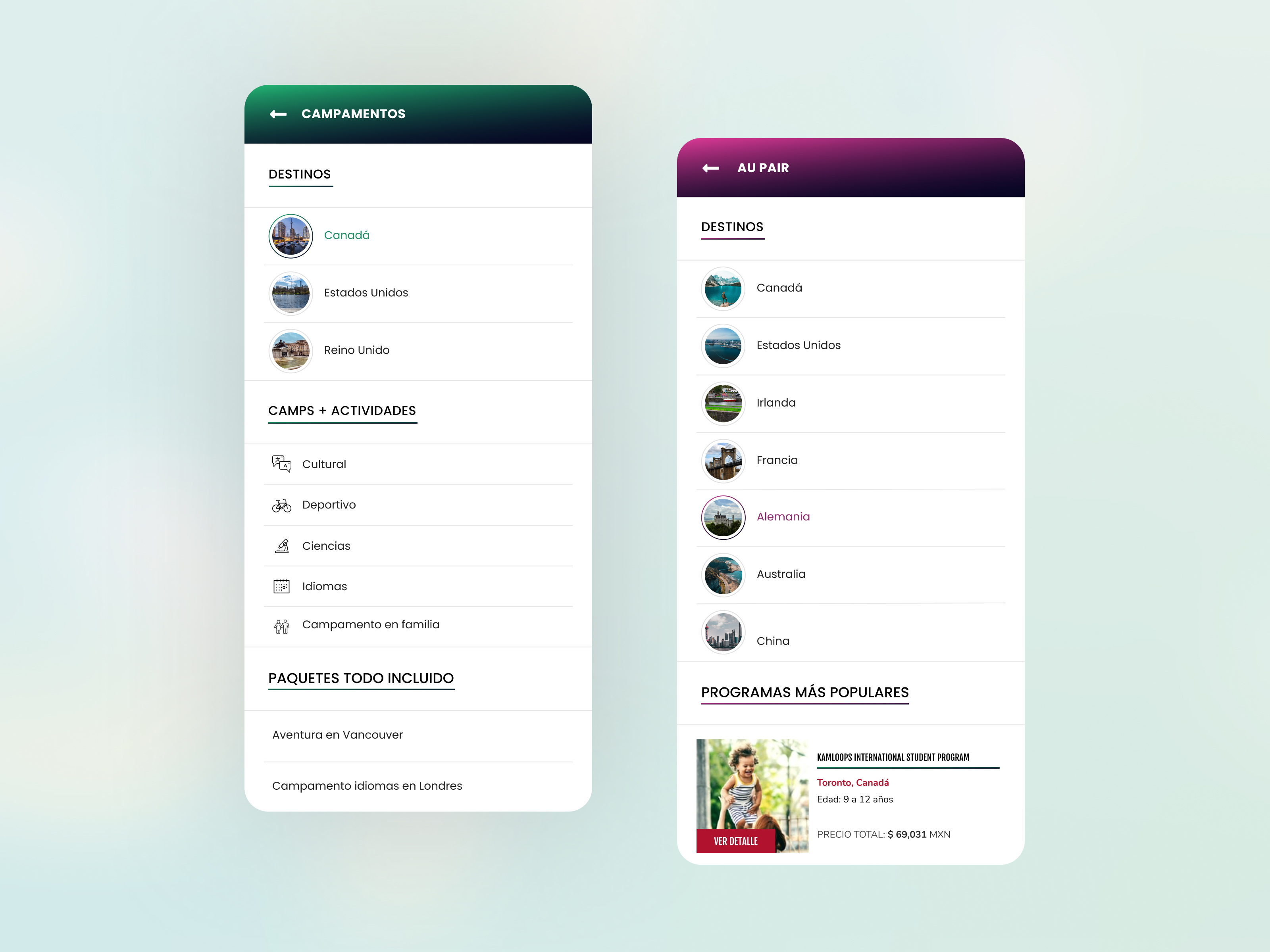 Mega menu mobile by Carolina Lazaro on Dribbble