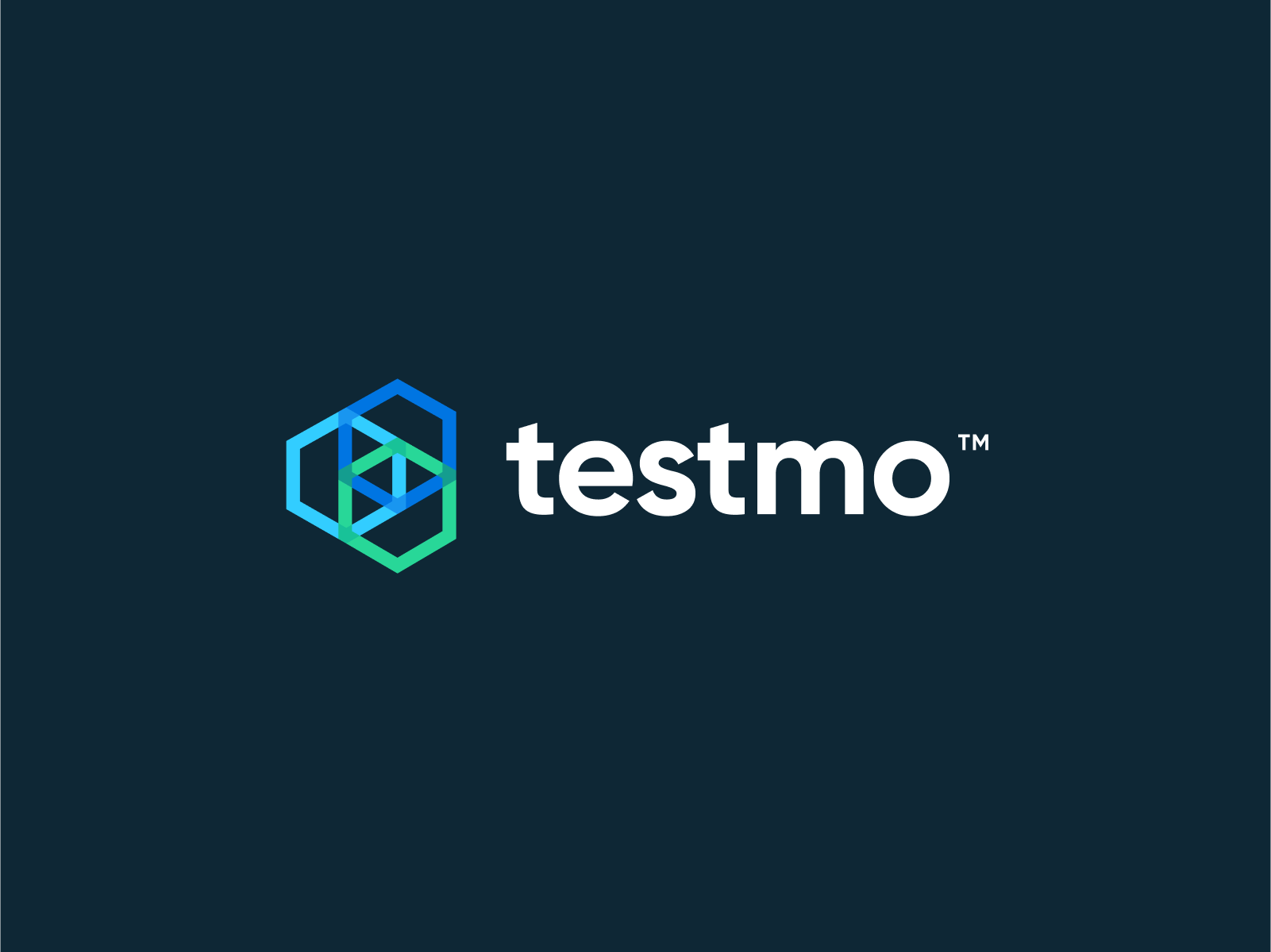 Testmo rebranding by Benjamin Oberemok on Dribbble