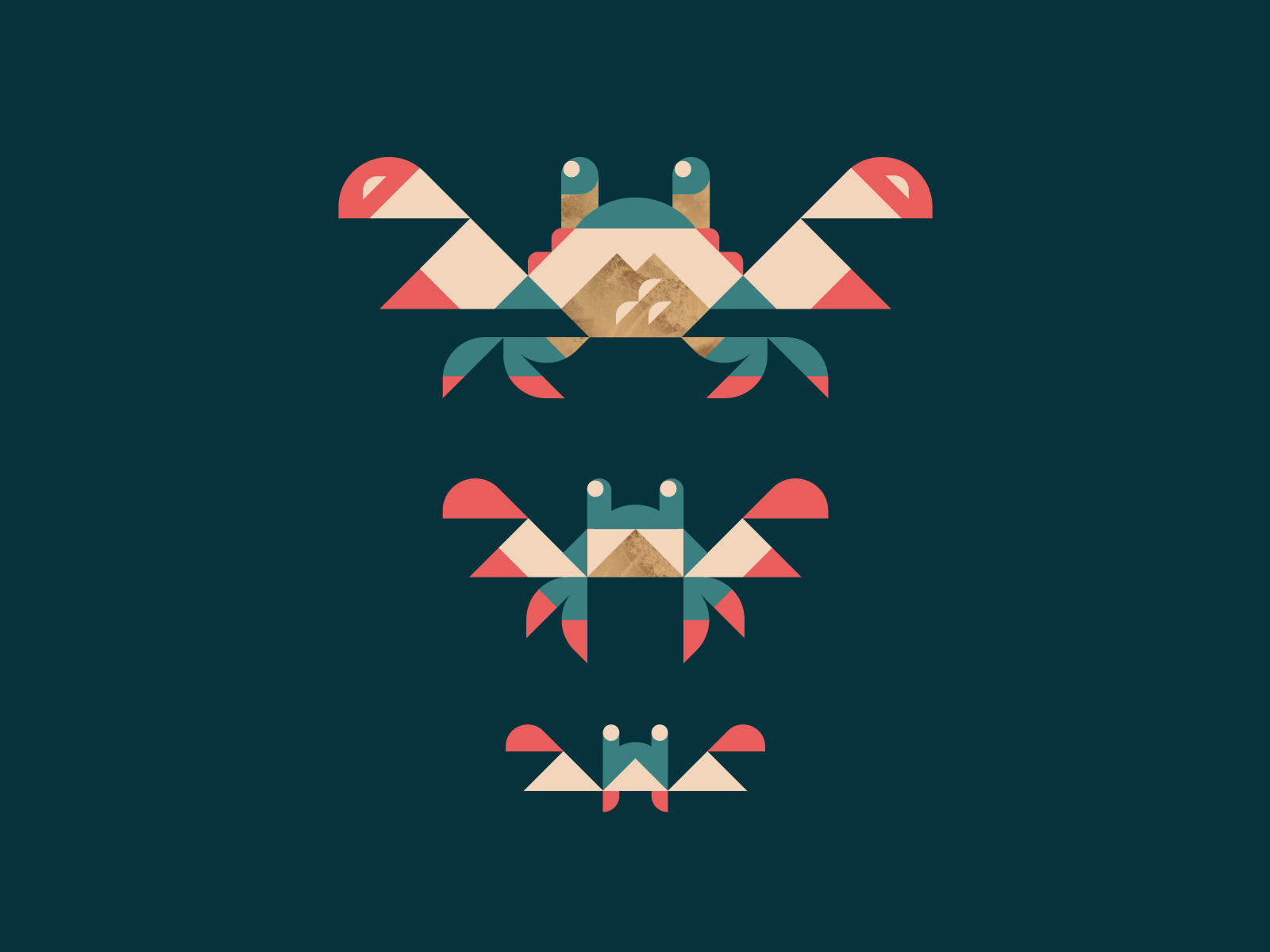 Cohesive Complexity by Visual Jams on Dribbble