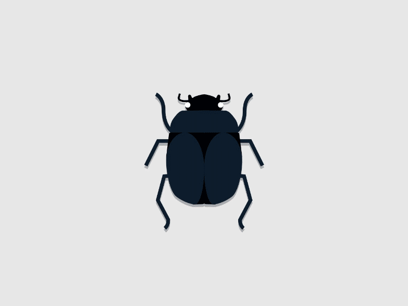 Beetles by Eszter Balogh on Dribbble