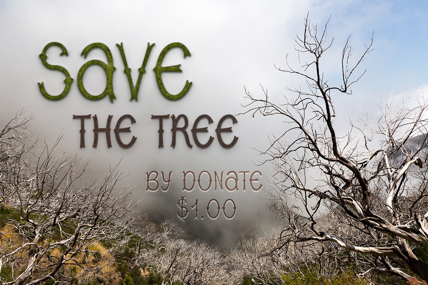 Tree Branch Font by OWPictures on Dribbble