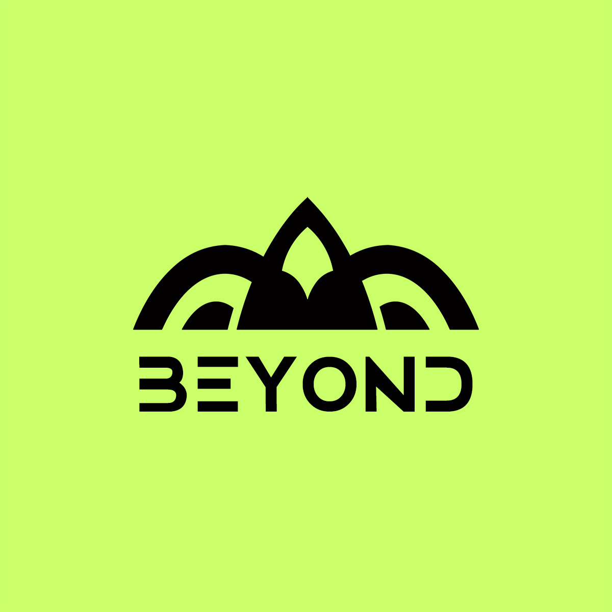 BEYOND Aerospace Logo Design by Shayla Cocozza on Dribbble