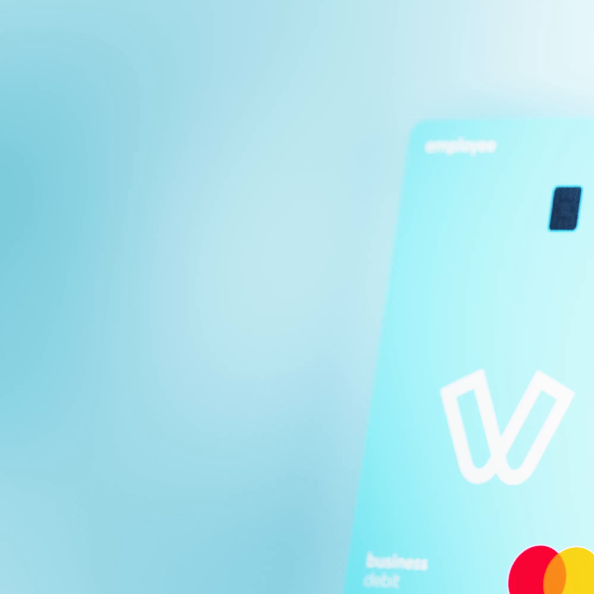 Viva Wallet Employee Card by Jay Katsoulis on Dribbble