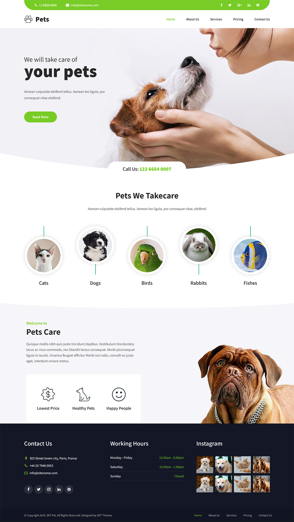 Ele Pet Lite - Free Animal WordPress Theme by SKT Themes on Dribbble