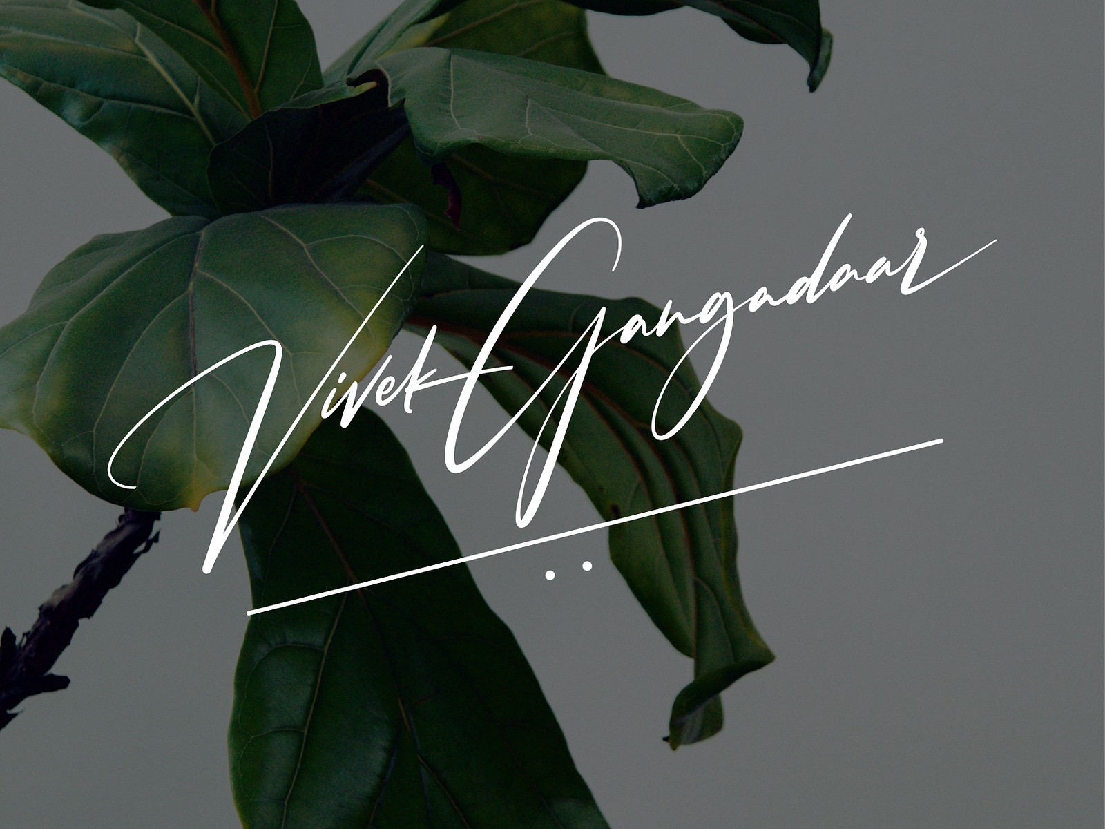 Vivek Gangadaar Calligraphy Signature Logo by qha qha on Dribbble