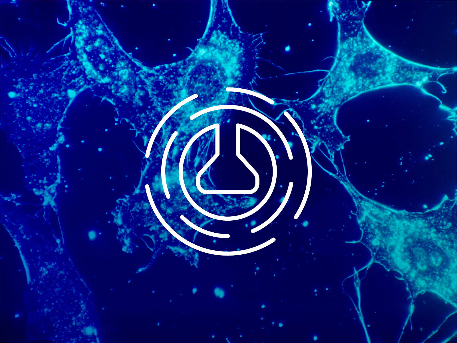 Cellab Logo by The Tamlika ® for Awal Studio on Dribbble
