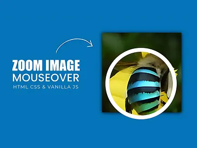 Zoom Effect designs, themes, templates and downloadable graphic ...