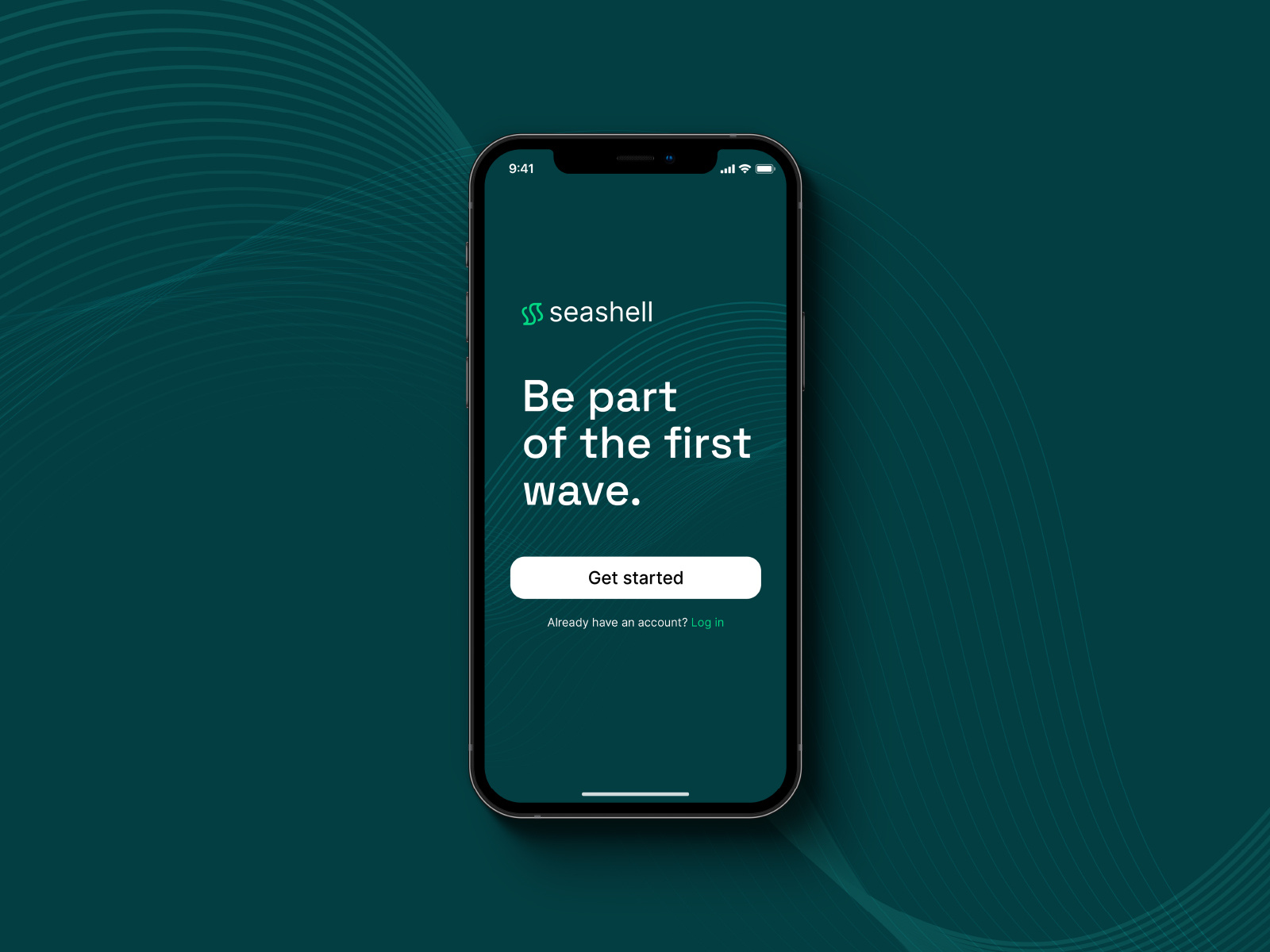 Seashell Brand Identity Design by Lucas Fields on Dribbble